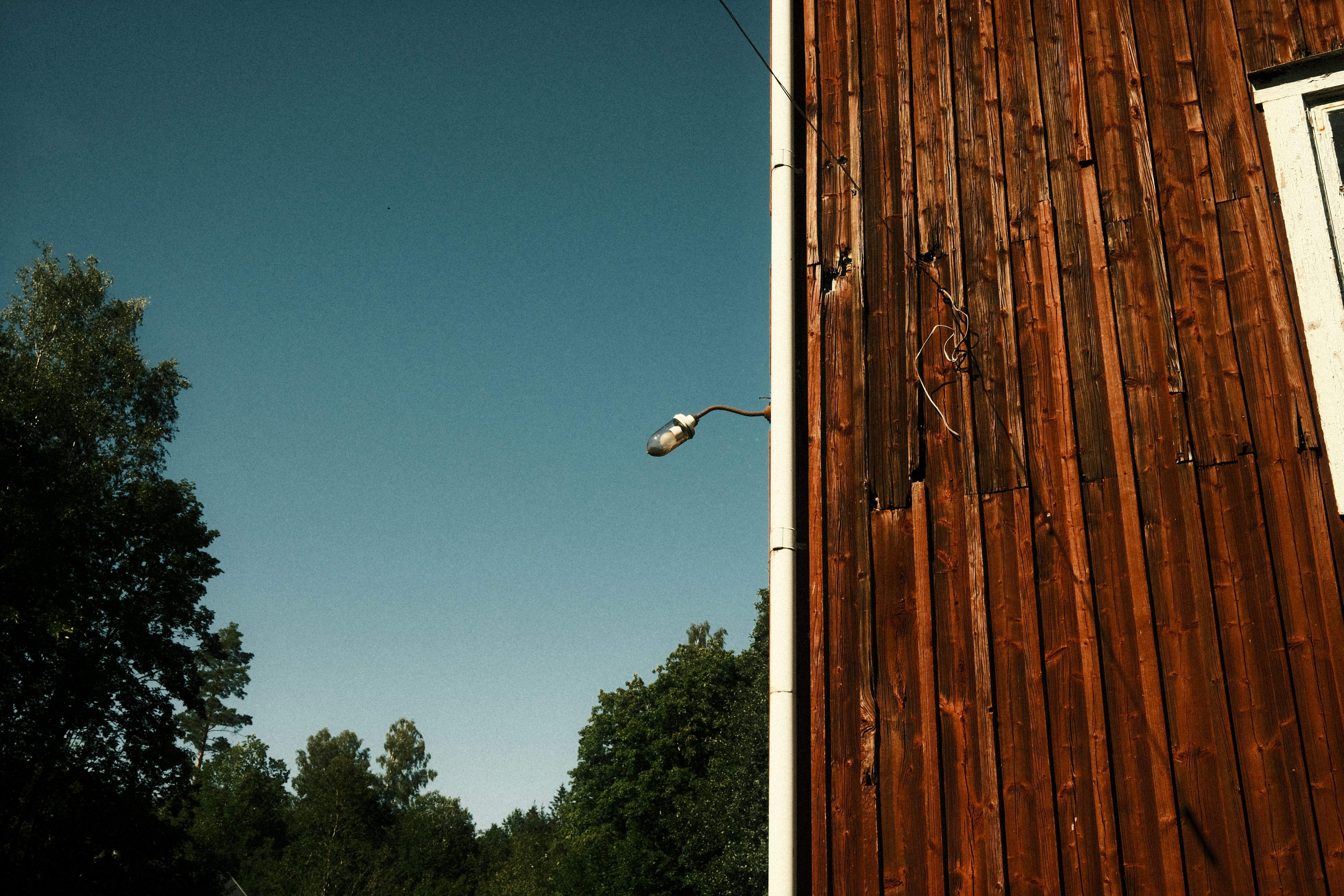 The Art of Positive Space in Photography Composition