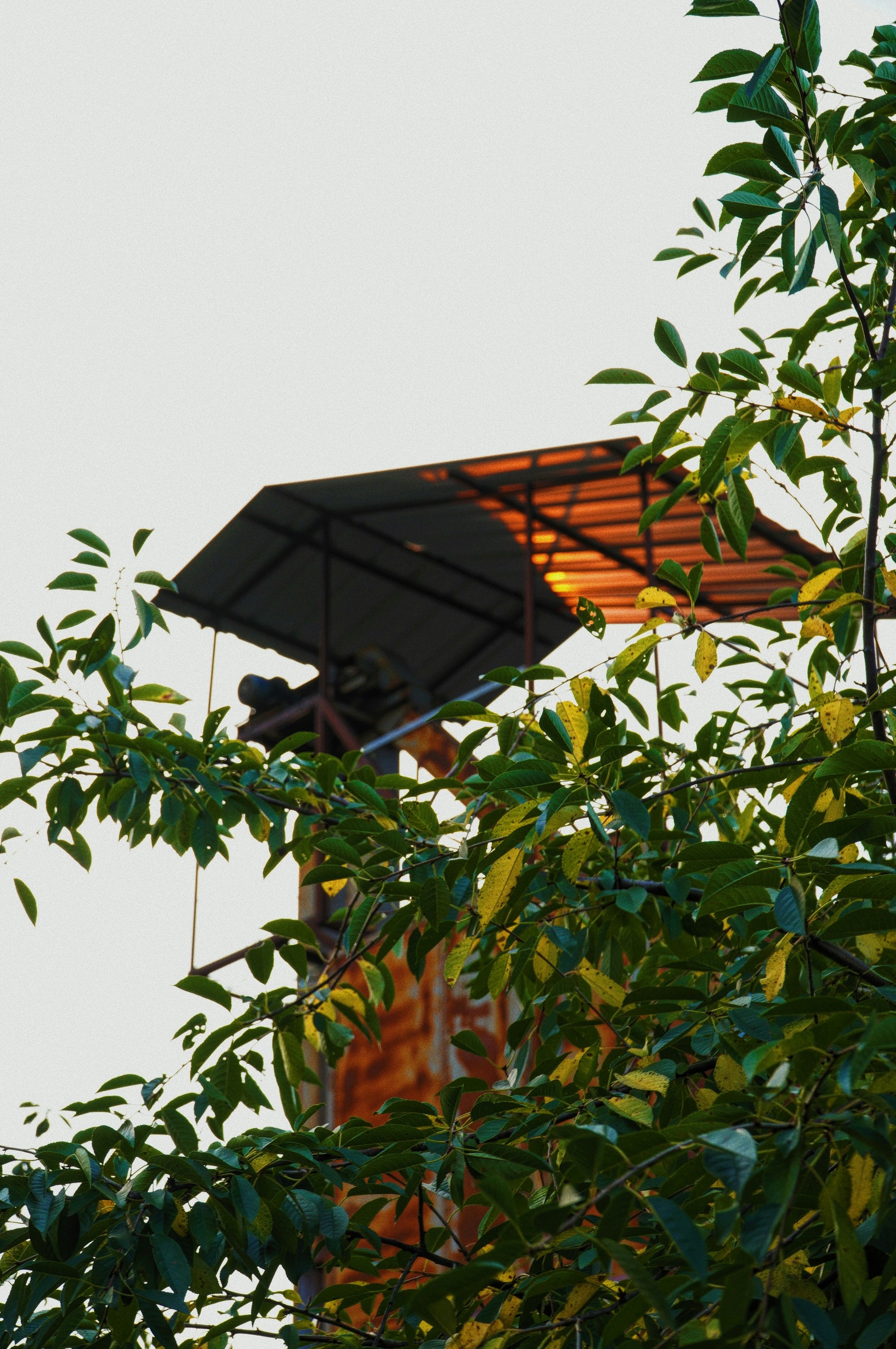 Canopy Overwatch: An orange-roofed lookout peeks through dense greenery