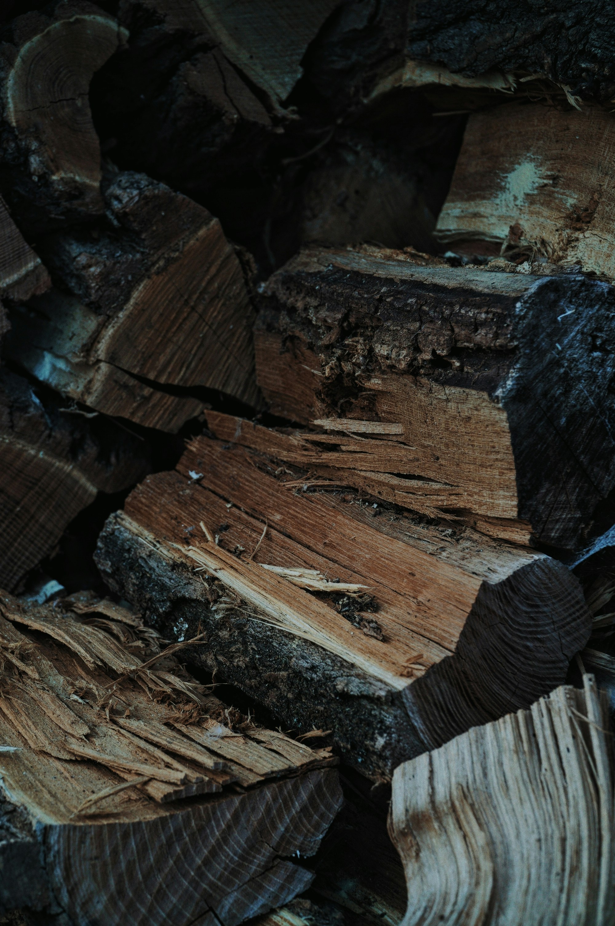 Layered Grain: A Close-Up on Weathered Firewood