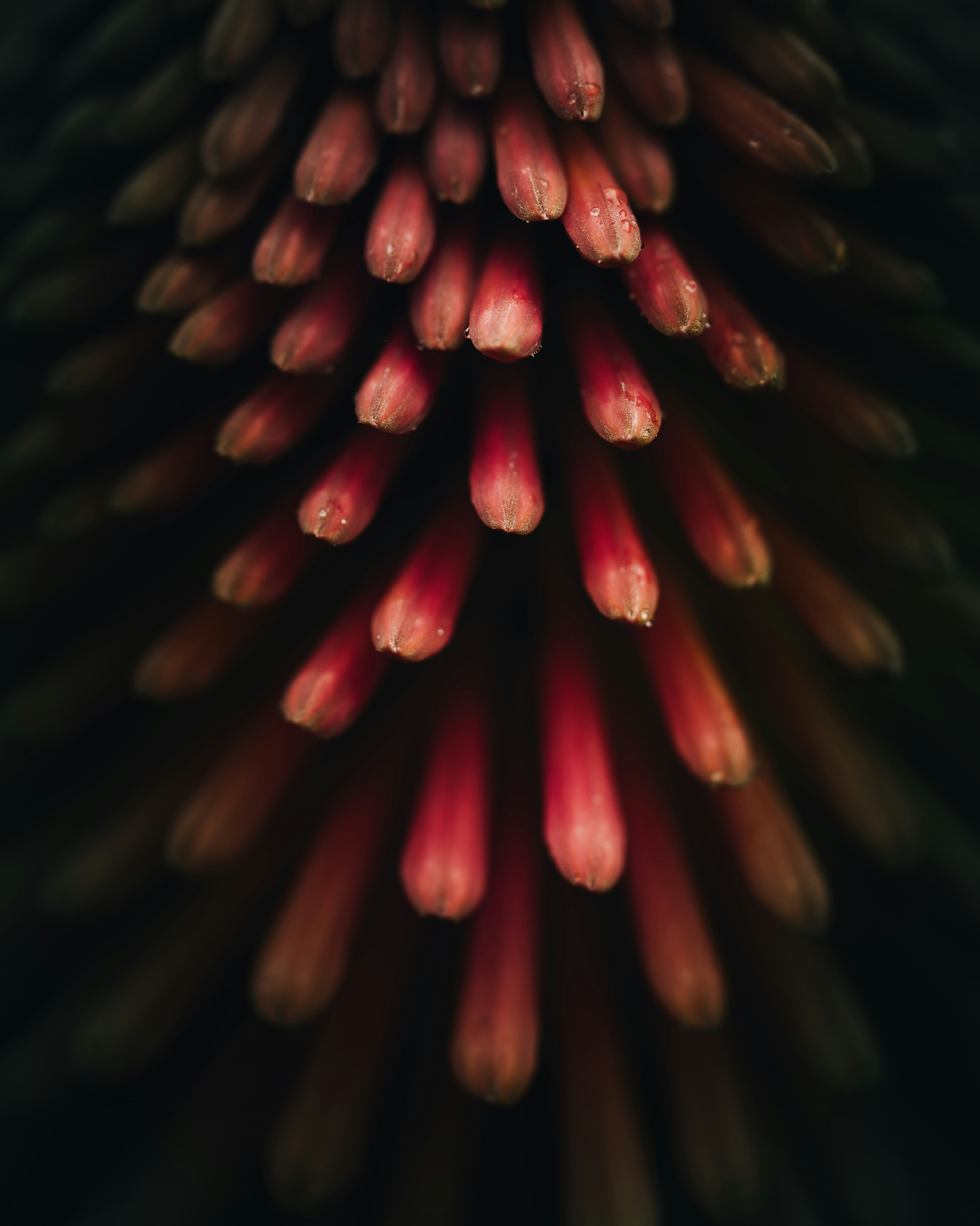 Photo by Edgar.infocus with Sony Alpha 7R IV