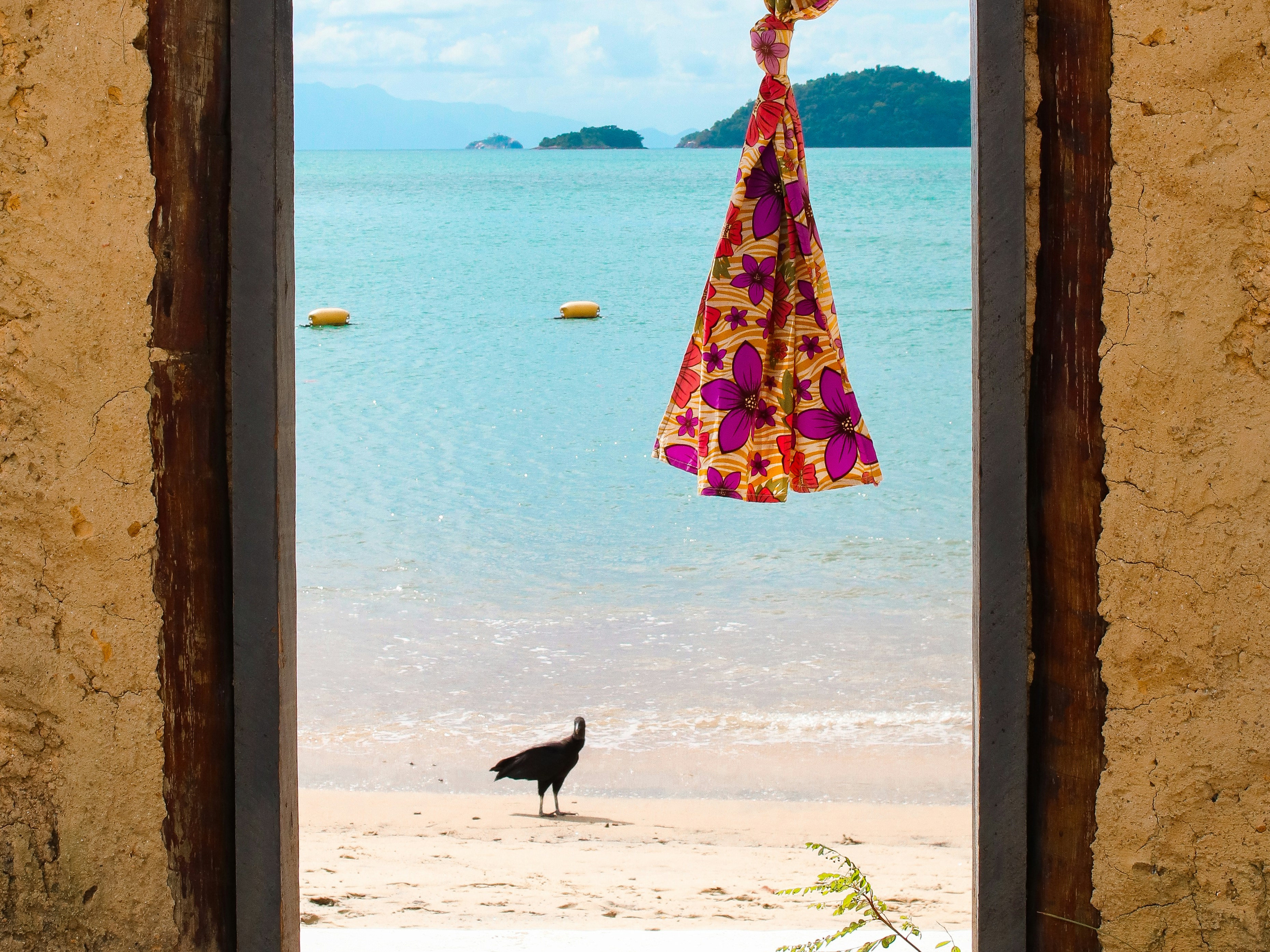 Framed Beach, Bird, and Hanging Fabric