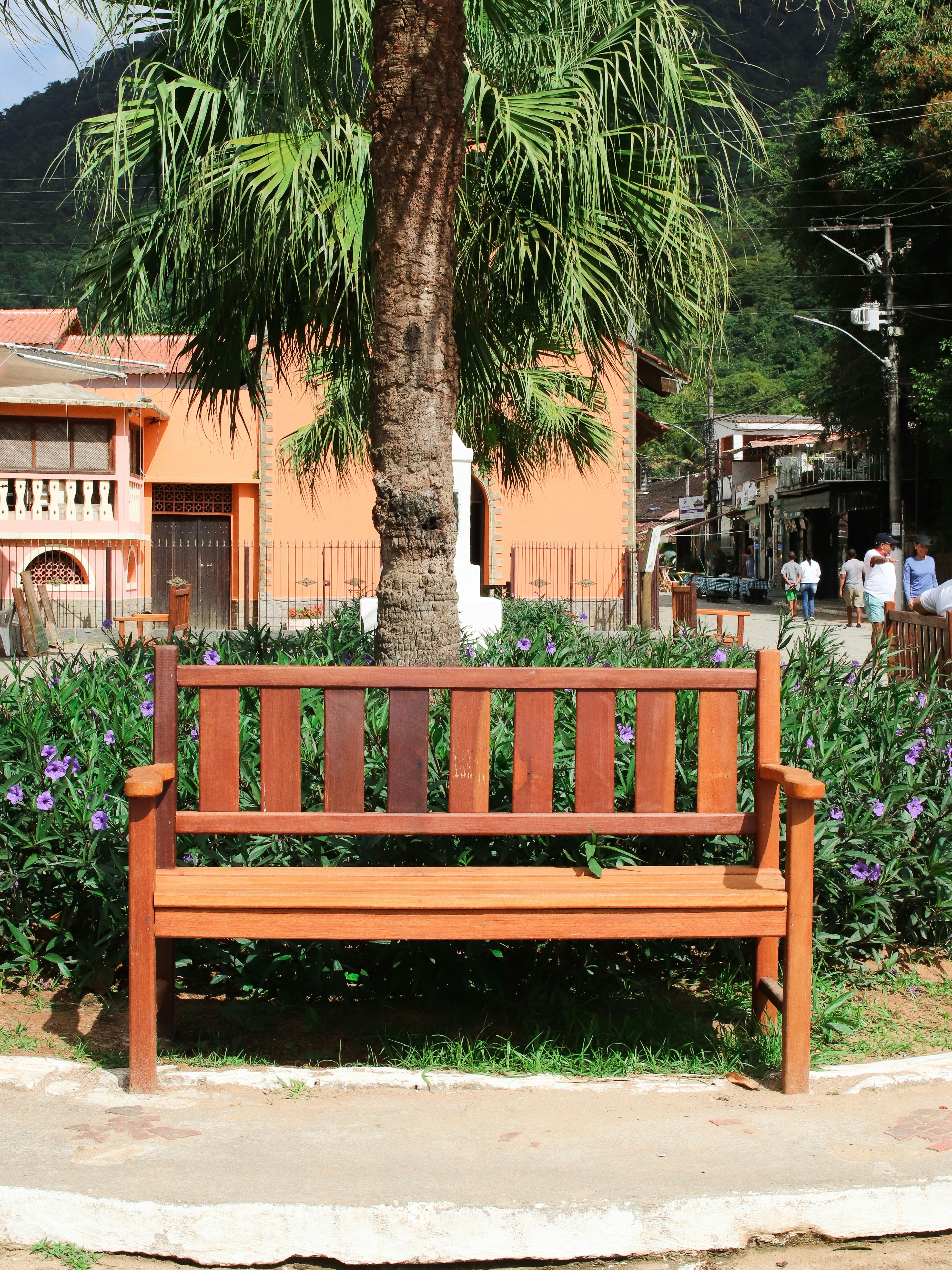 Serene Bench Amidst Tropical Backdrop
