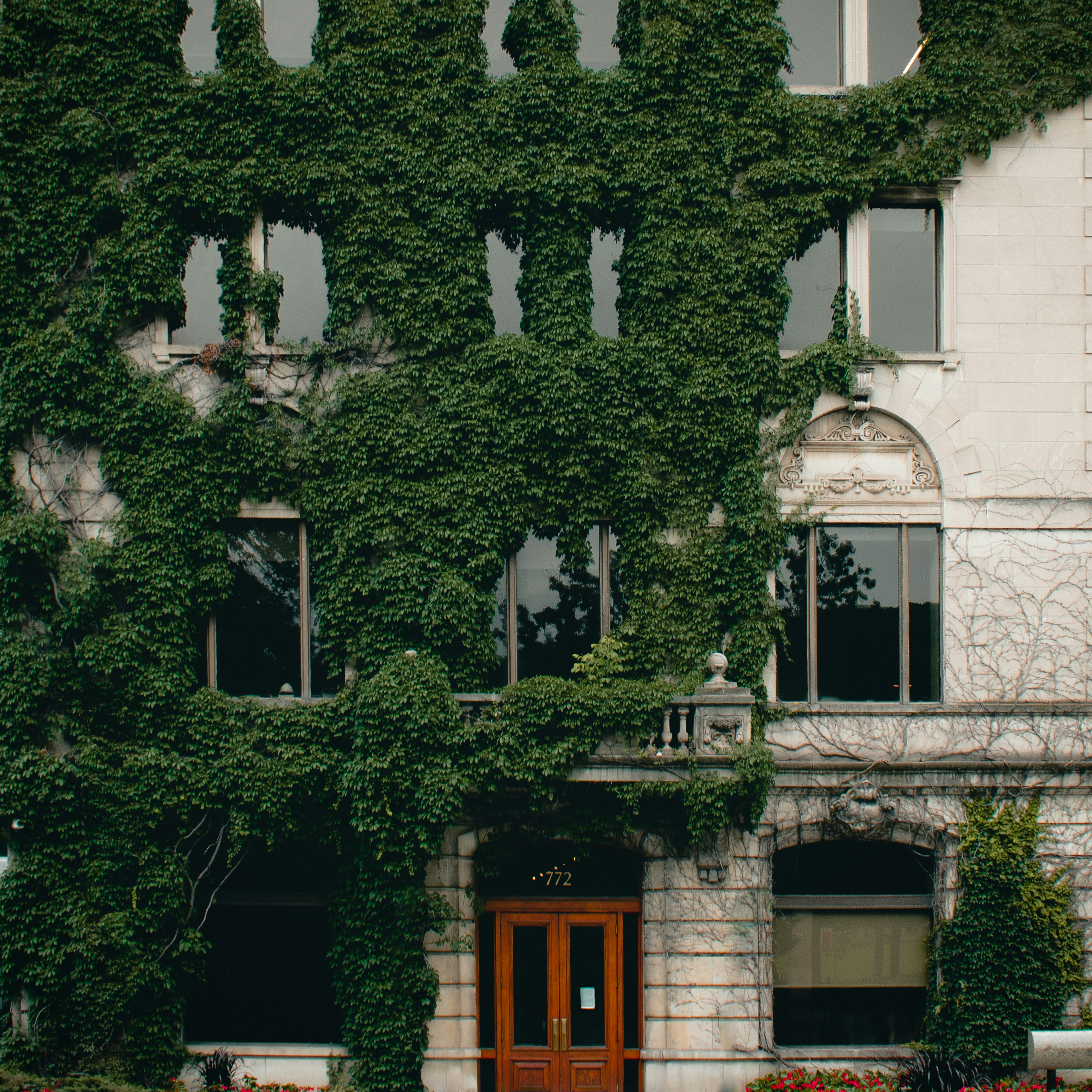 A building with ivy on it photo – Free Ivy Image on Unsplash