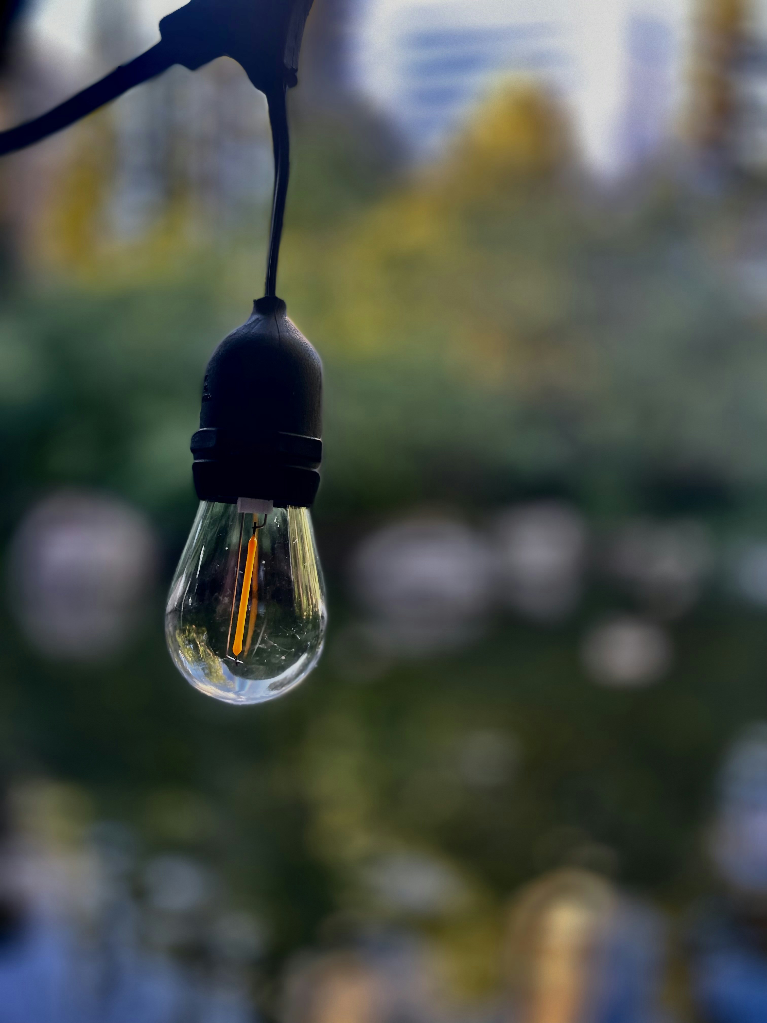 100+ Bulb Pictures | Download Free Images on Unsplash