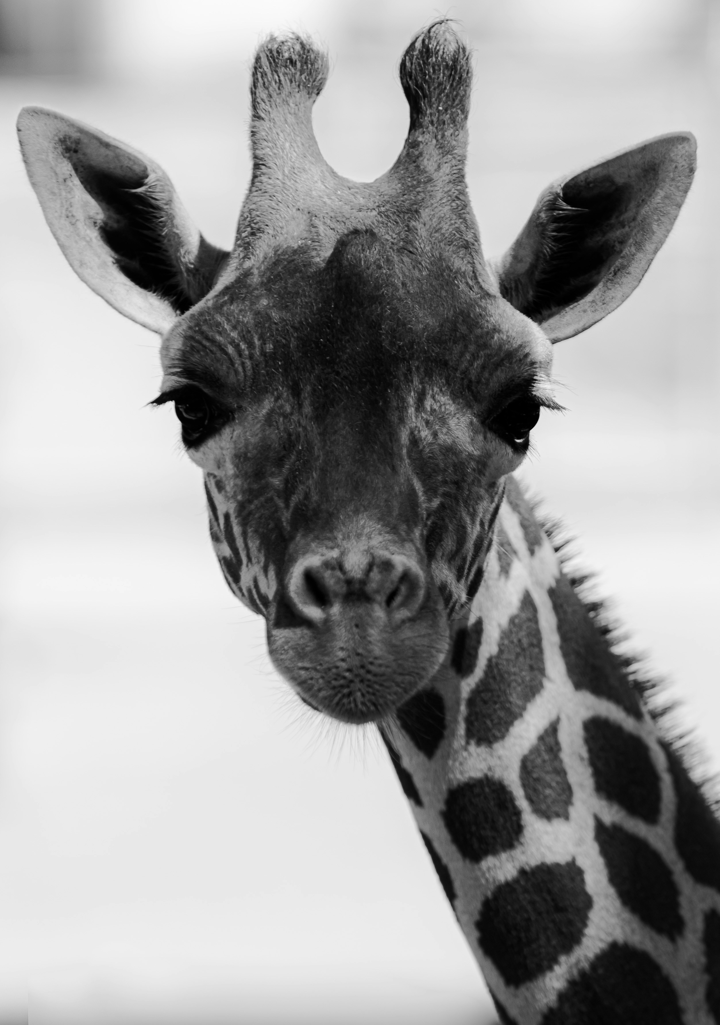 Photo by Tsukada Kazuhiro with Nikon D750