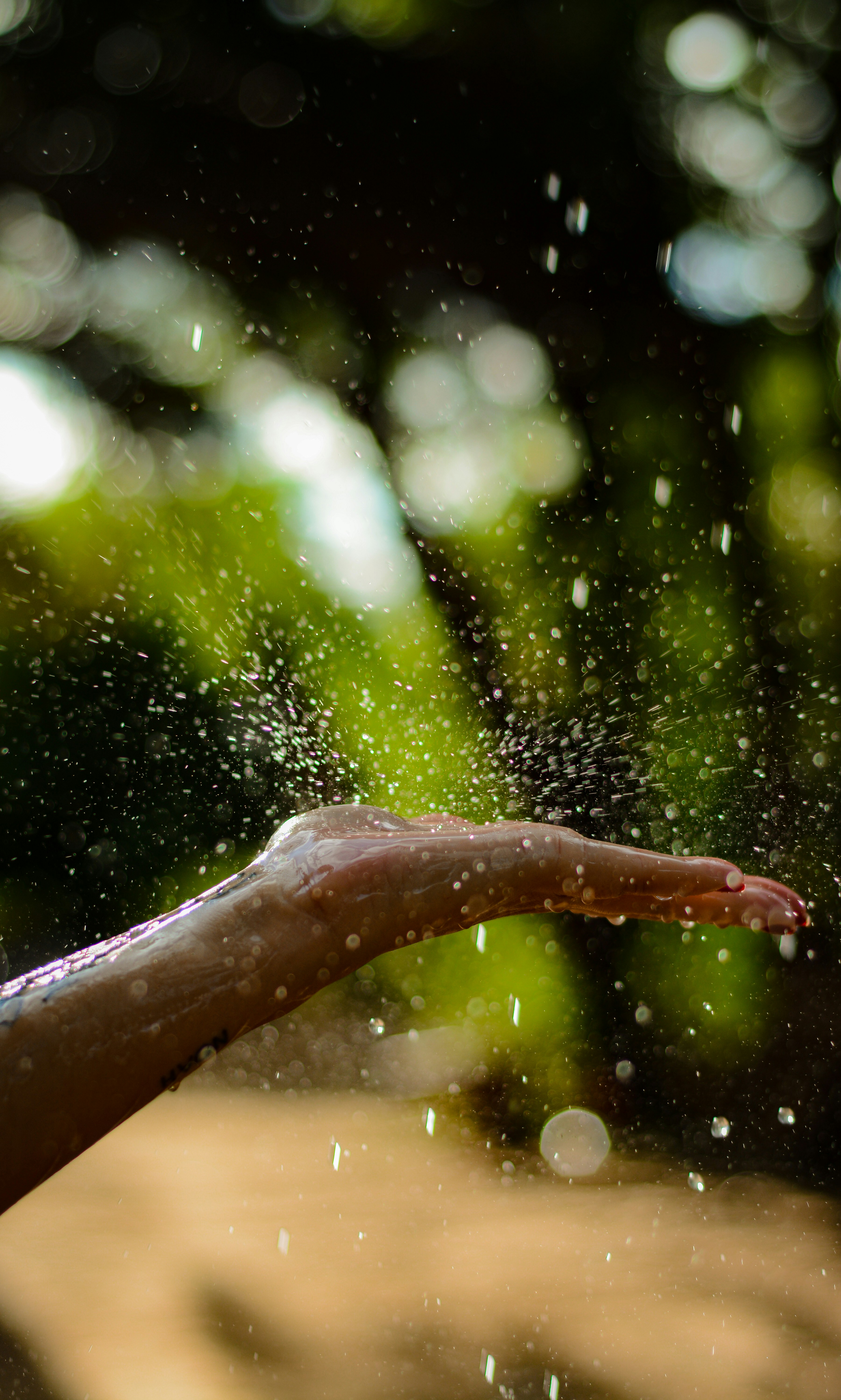 A close up of a person's hand with water drops on it photo – Free ...