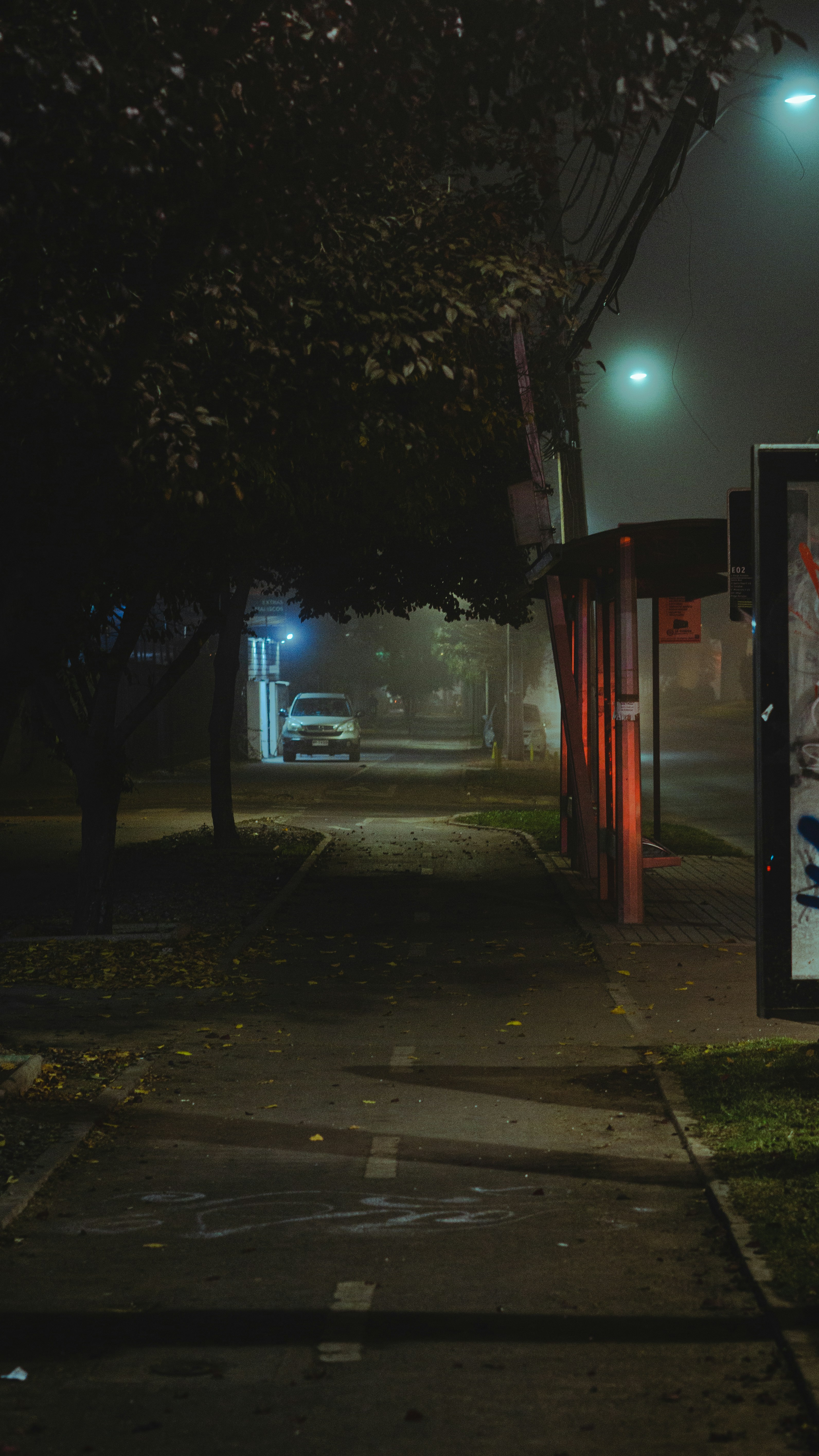 Distant Car in Fog: A Neon-Soft Midnight Walk