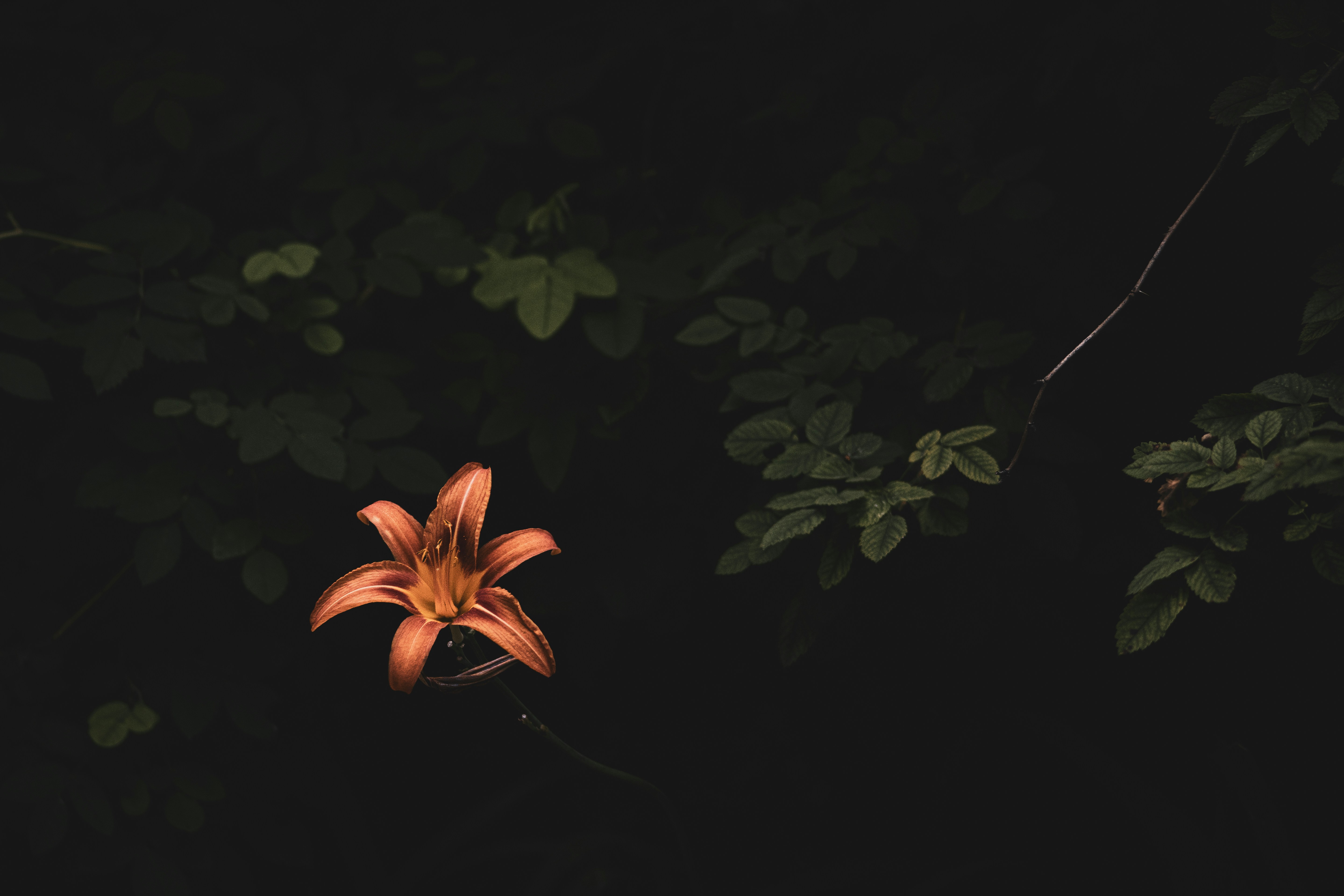 Please support Ukraine - https://u24.gov.ua/