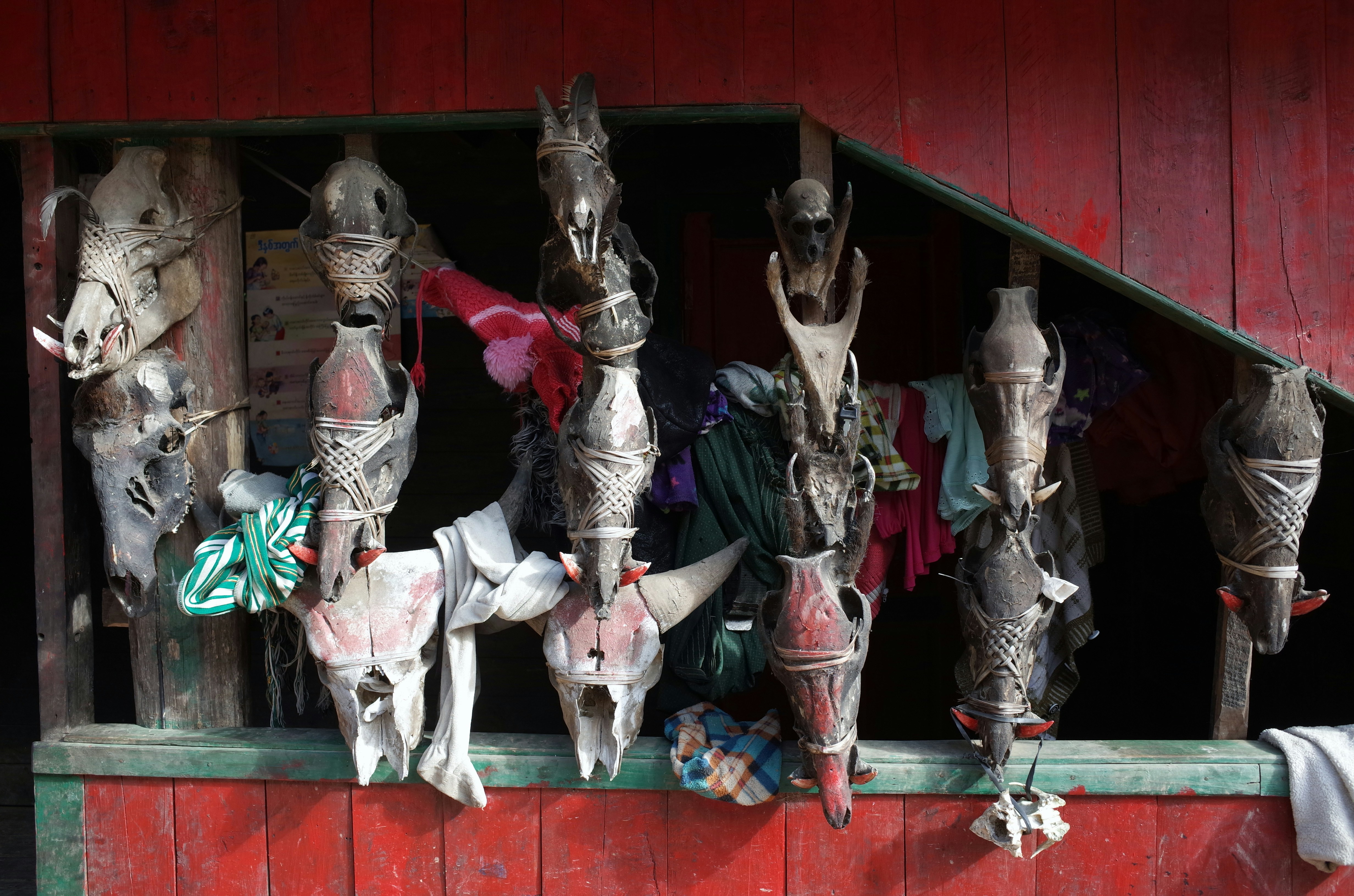 Intricately crafted horse masks displayed on a rustic wooden window, showcasing cultural artistry and craftsmanship.