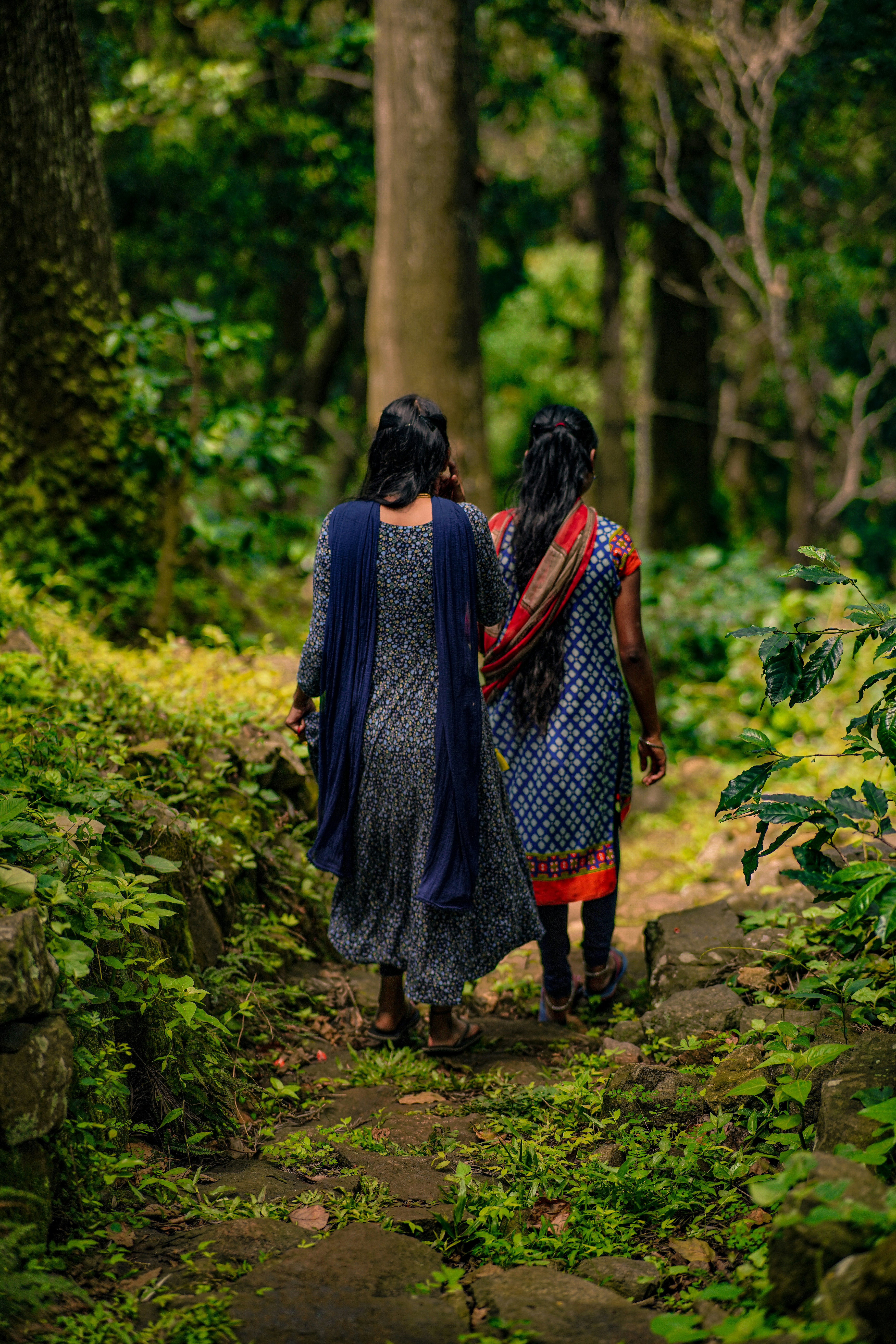 Mossy Promenade: Indigo and Red on a Forest Path