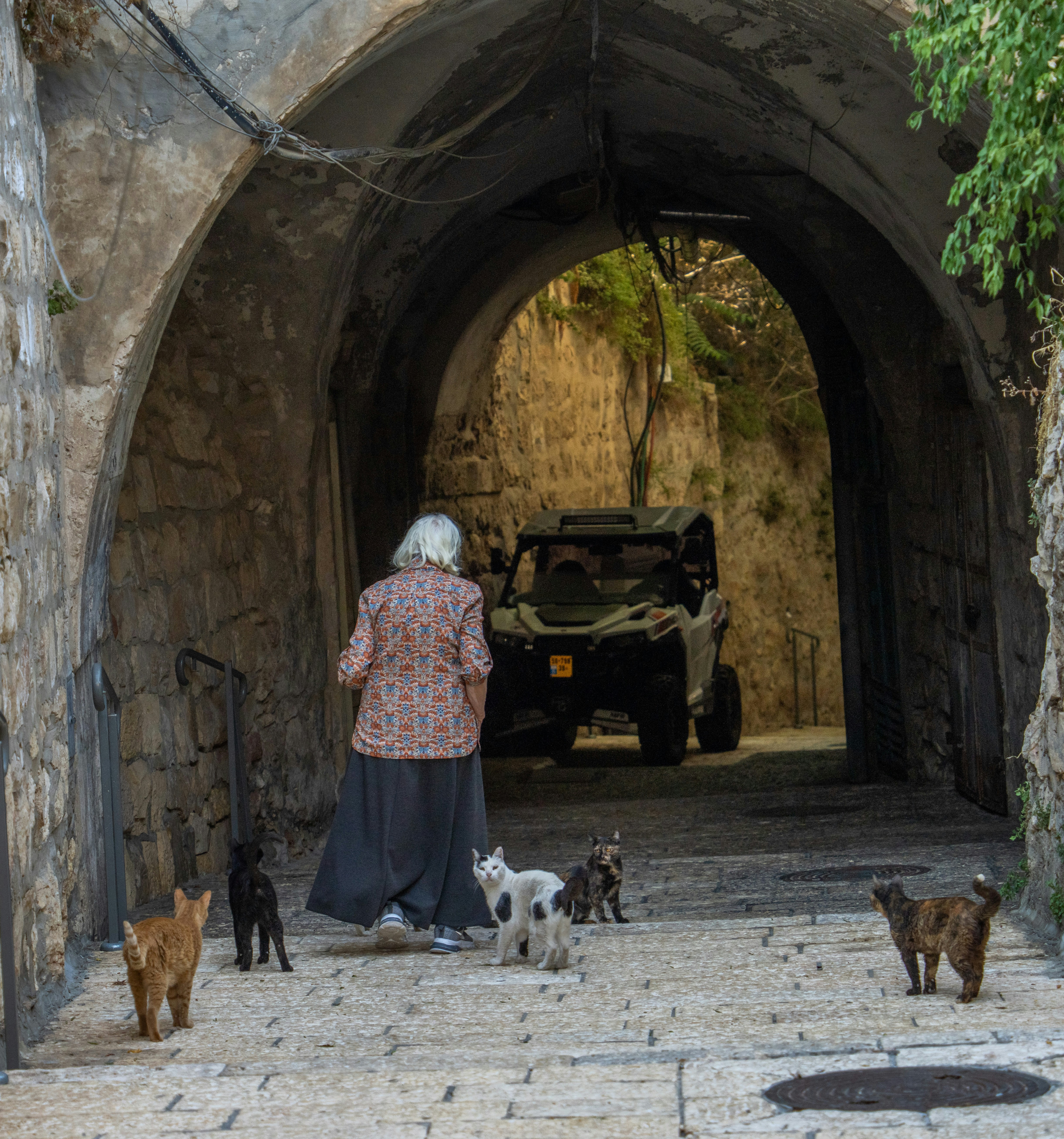 The infamous Cat Lady of Jerusalem 