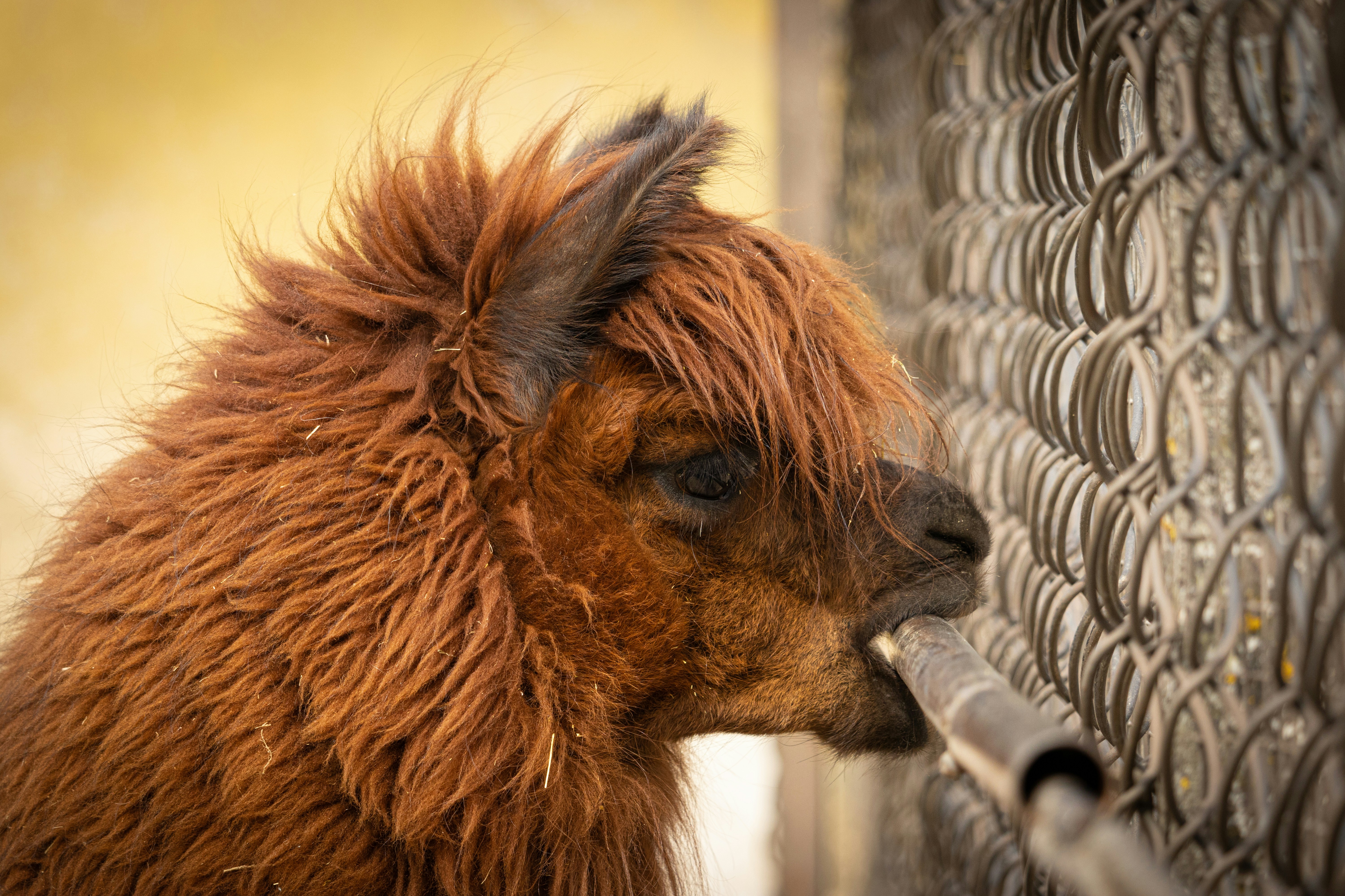 Photo by Jevgeni Fil with Canon EOS 850D