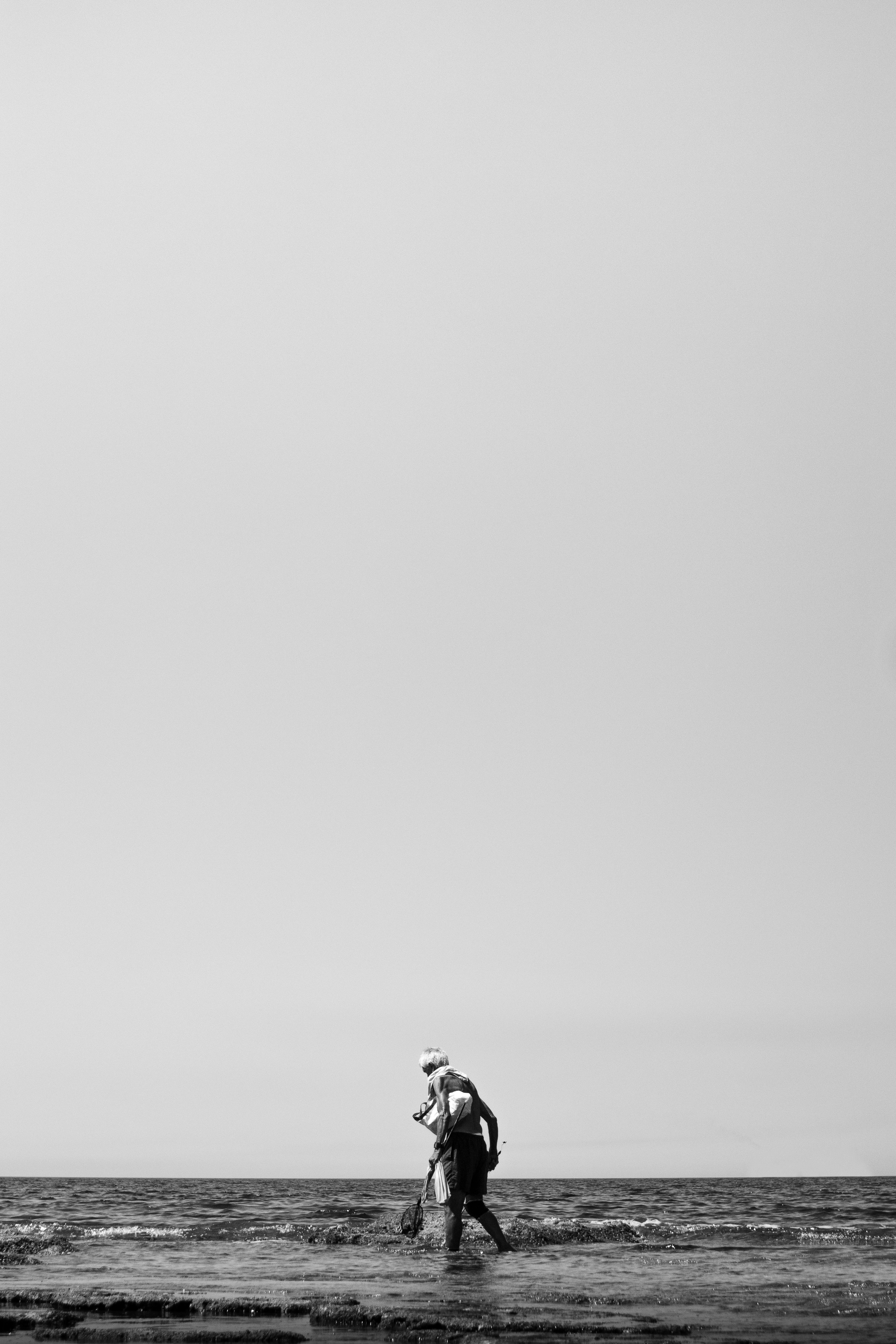 Lone Wanderer Along the Quiet Tidal Plain