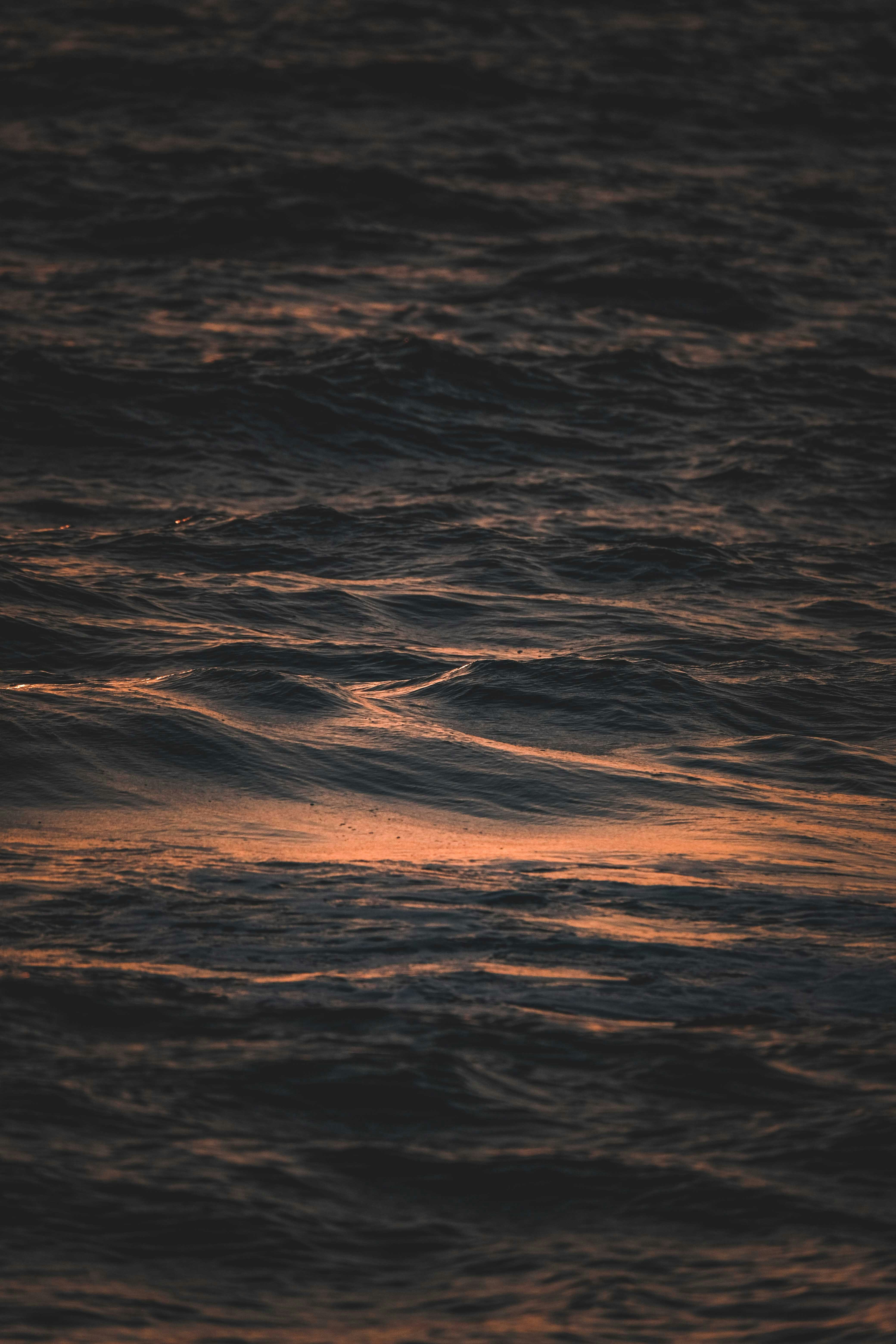 Polotno Studio - Make graphical designs