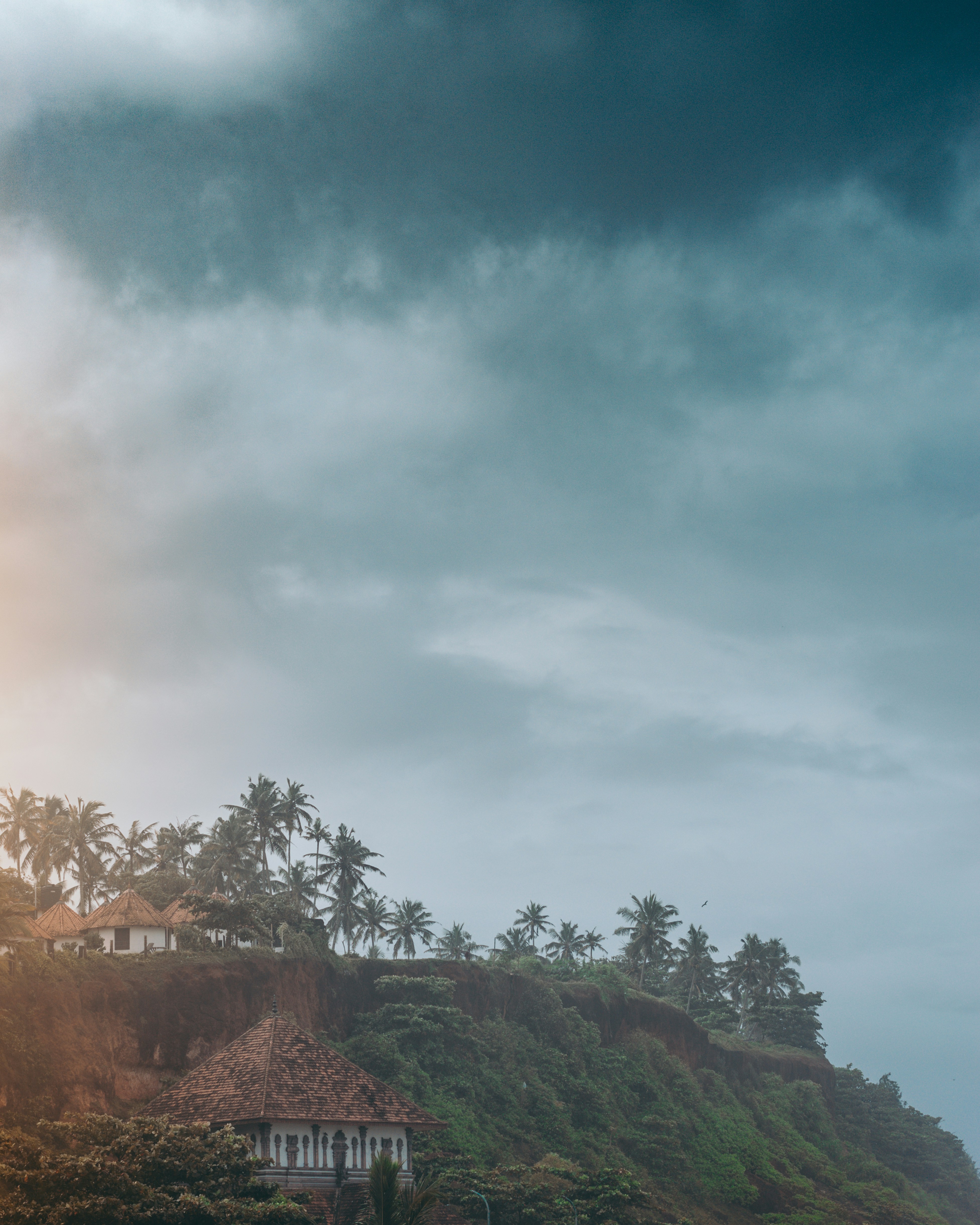 Cliff-top Village: Palm Fronds and Terracotta Roofs Beneath a Moody Coastal Sky