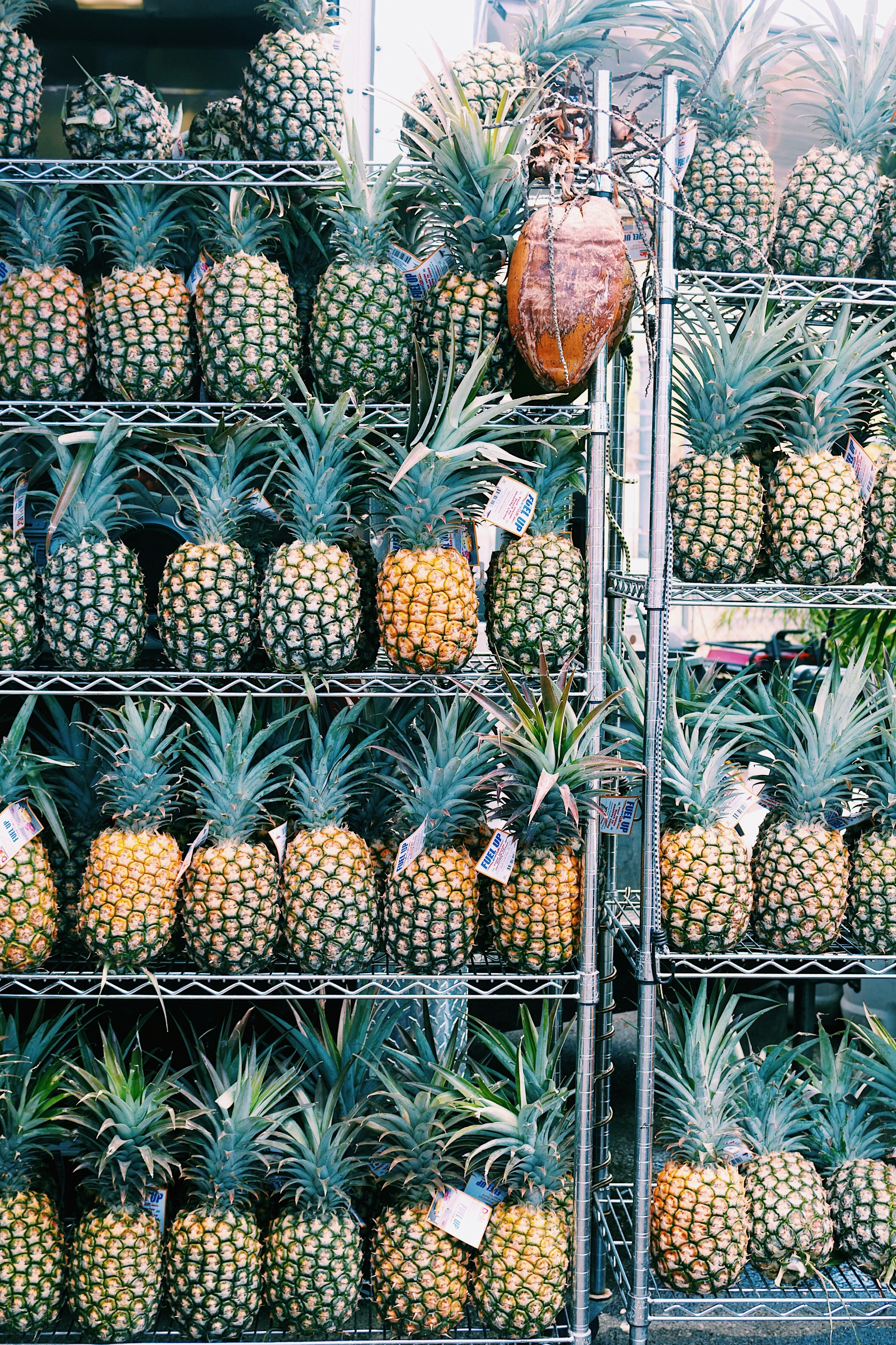 Tumblr Pineapple Wallpaper