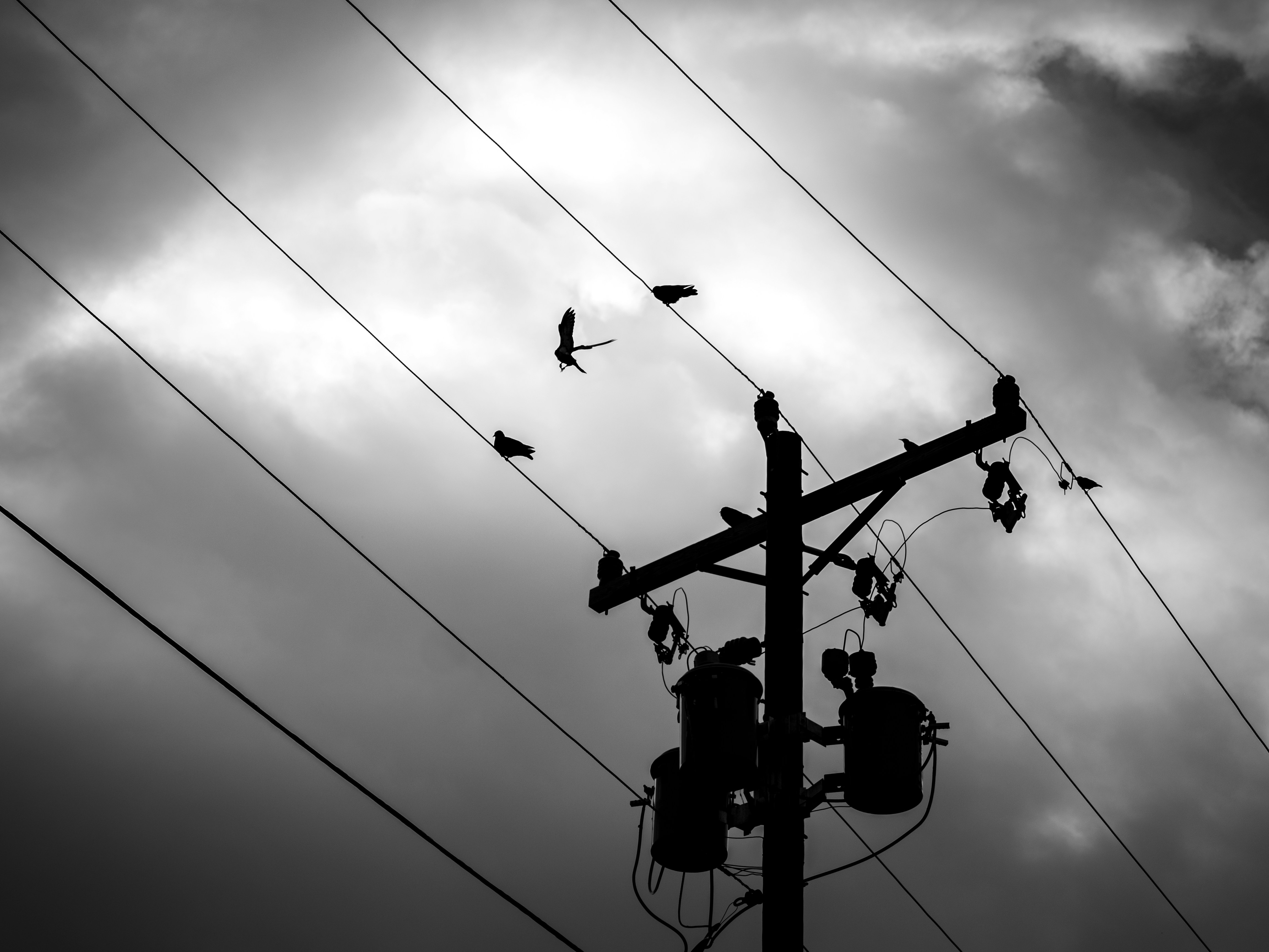 Photo by Elijah Mears with Nikon D3500