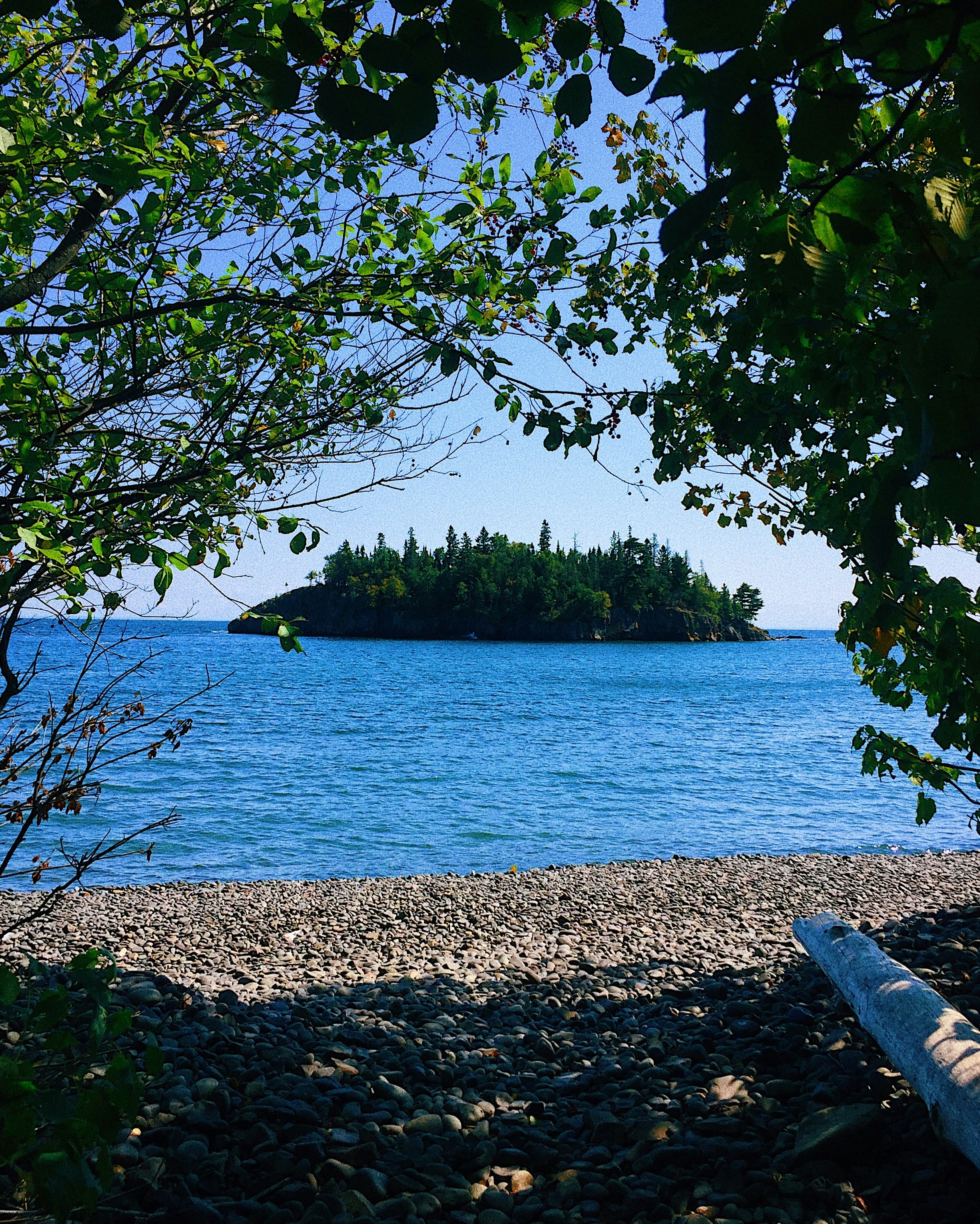 Photo by Meg Jenson with Apple iPhone 6