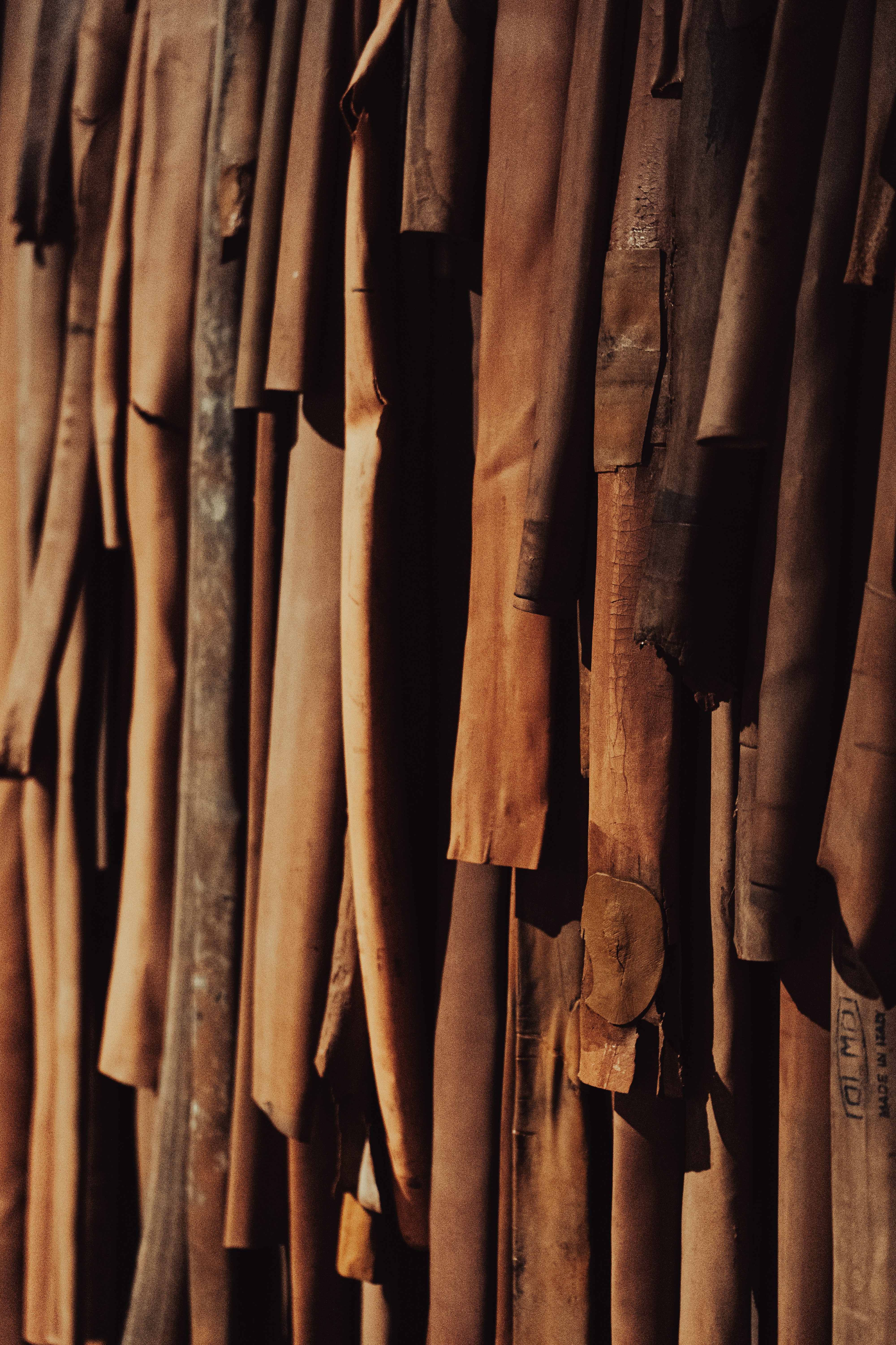 A group of sticks photo – Free Milano Image on Unsplash