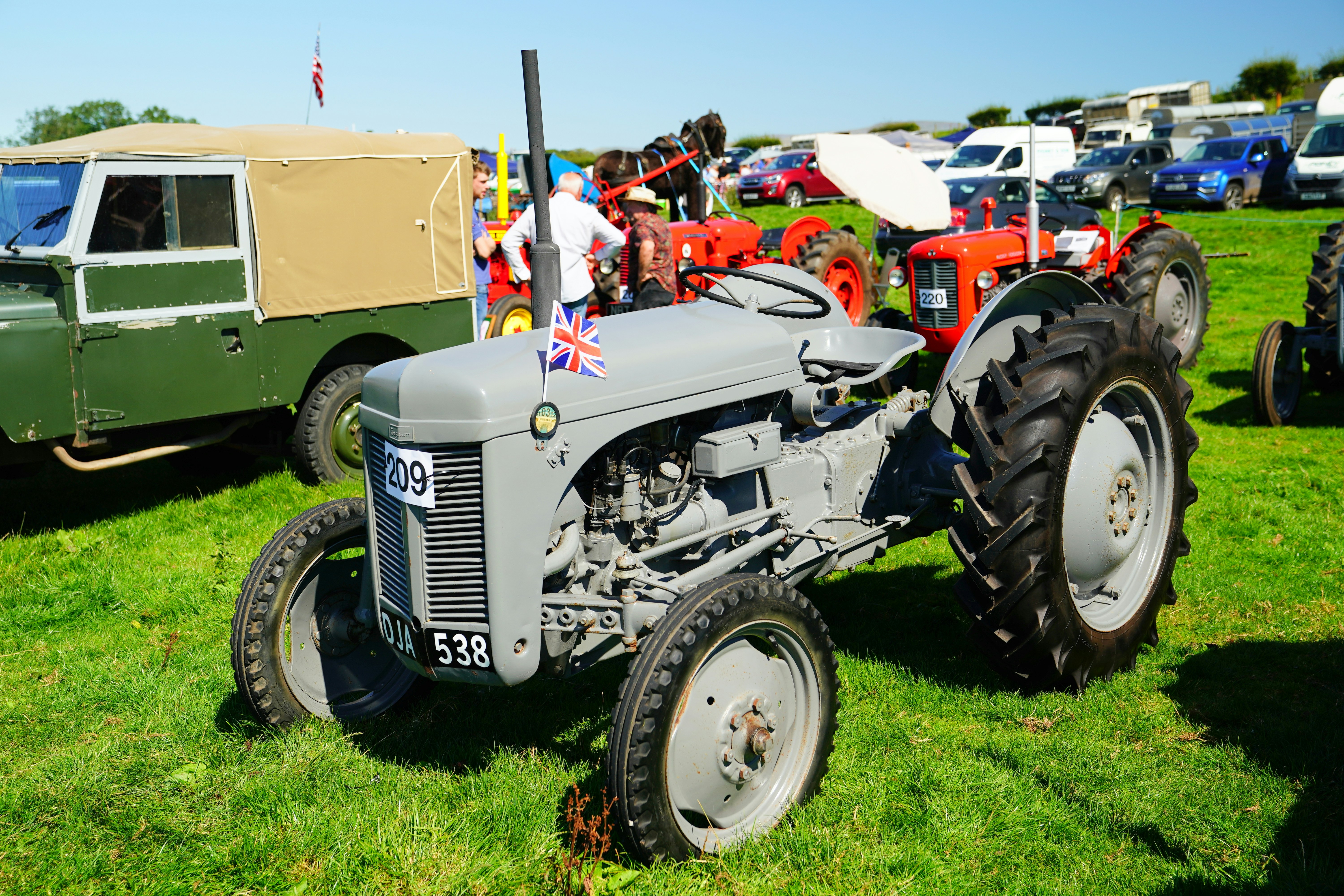 Photo by Martin Wemyss with Sony Alpha 9