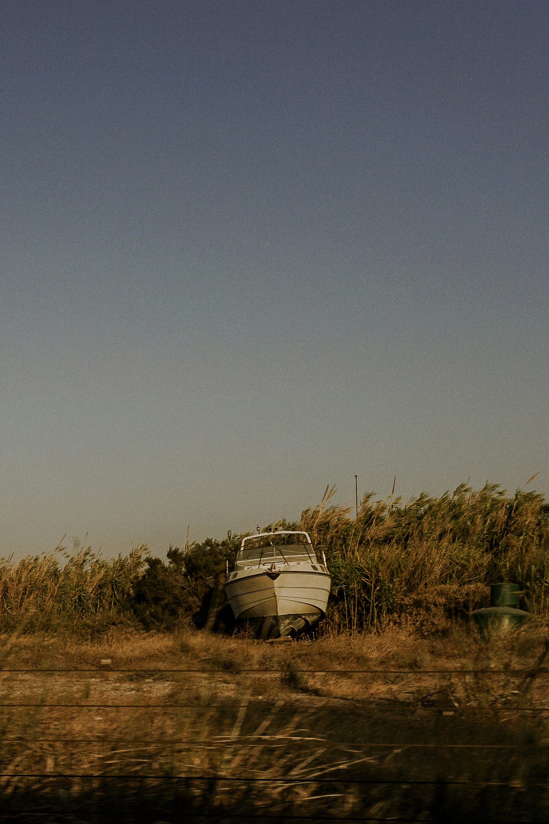 Boat Resting Among Golden Reeds at Sunset