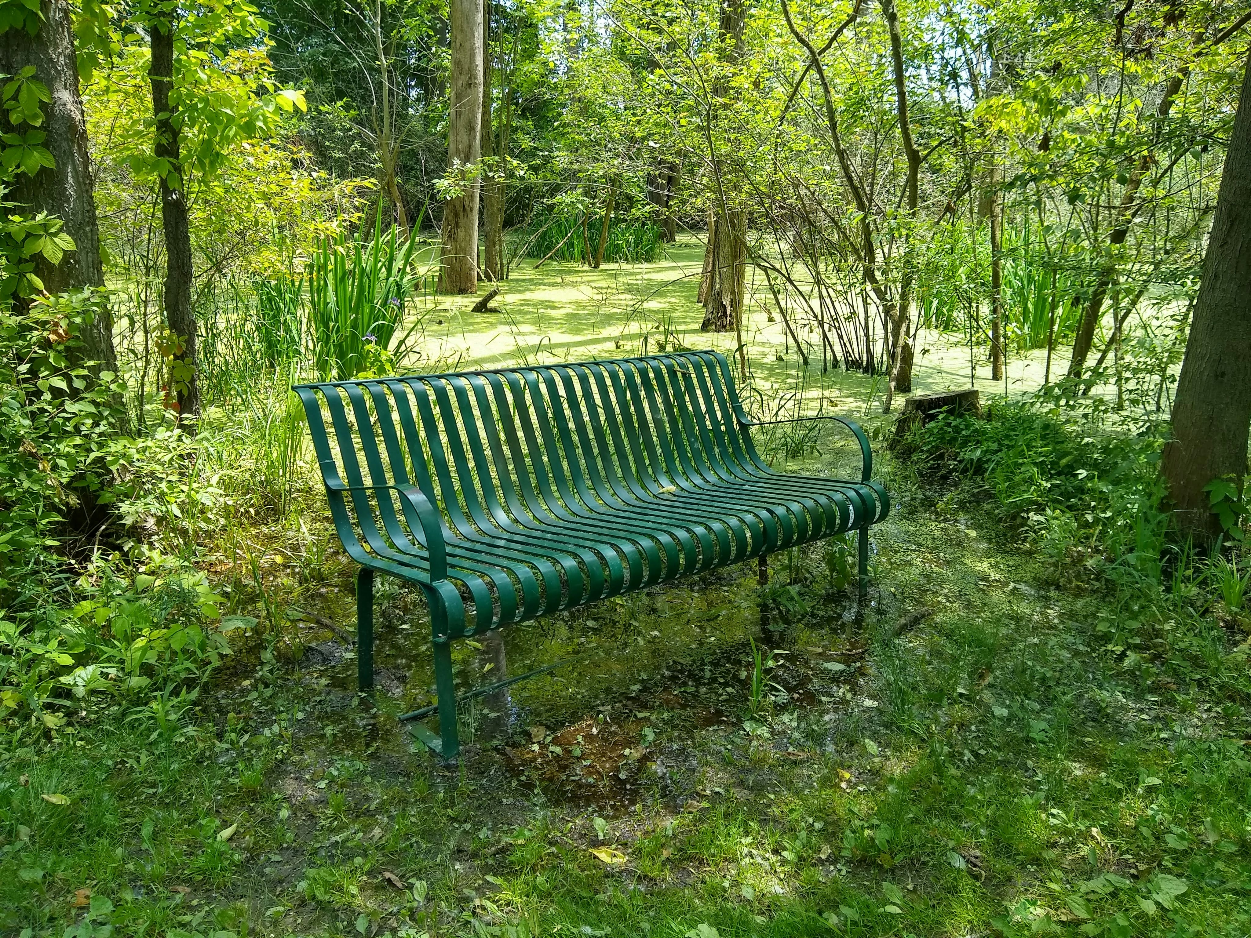 Photo by Roger Oney with Motorola Moto G6