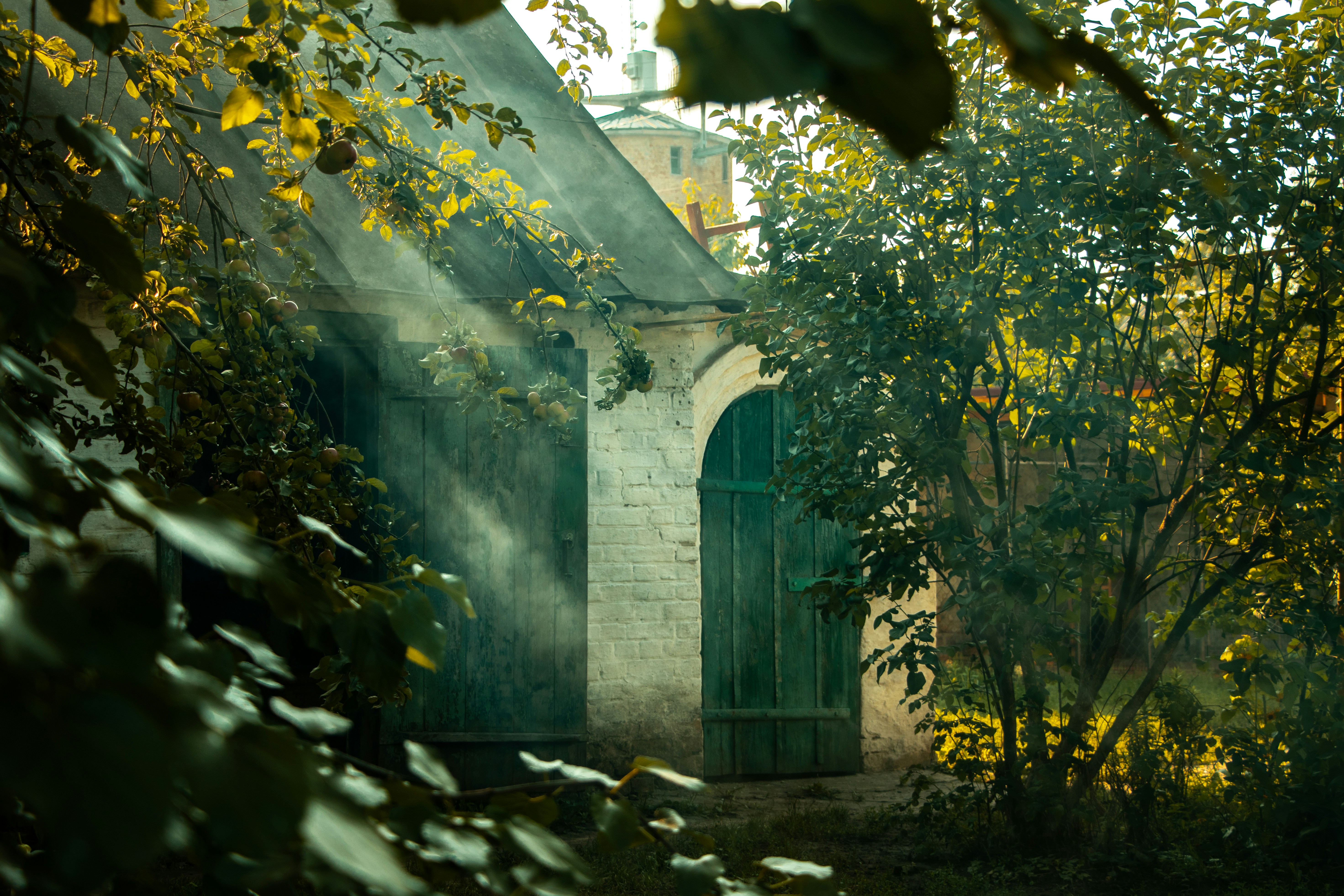 Sunlight filters through lush foliage, illuminating an old, weathered building with green doors in a serene garden setting.