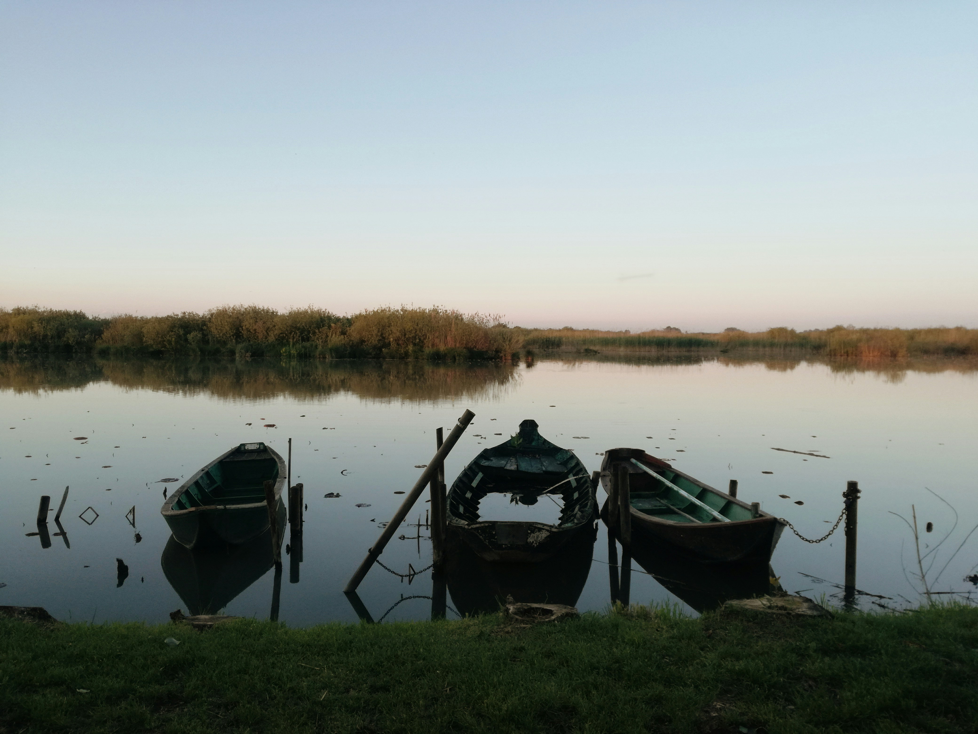 Three wooden boats resting on the calm waters of a serene landscape, surrounded by lush greenery and a soft pastel sky.