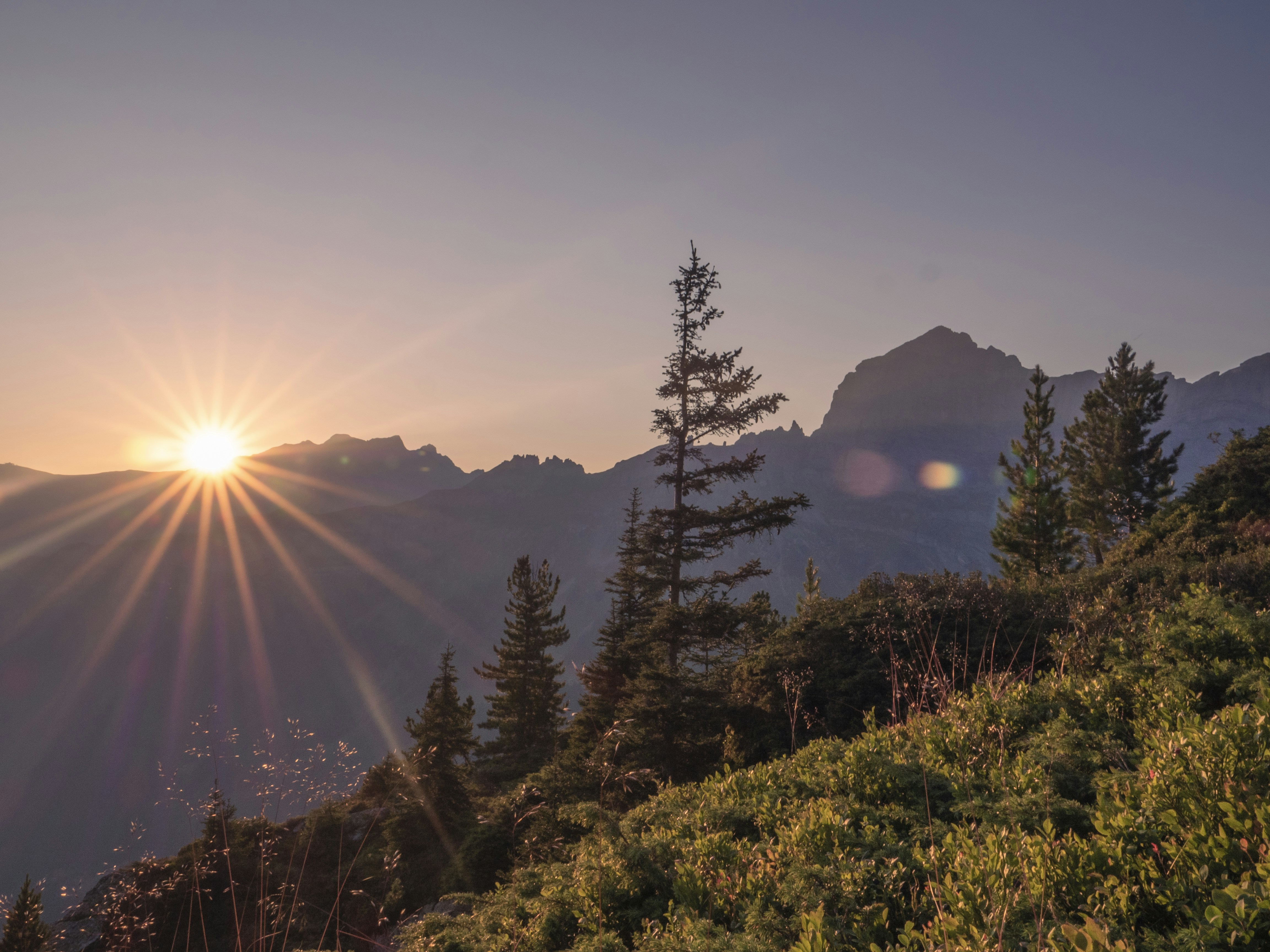 Dawn's Embrace: Nature's Awakening