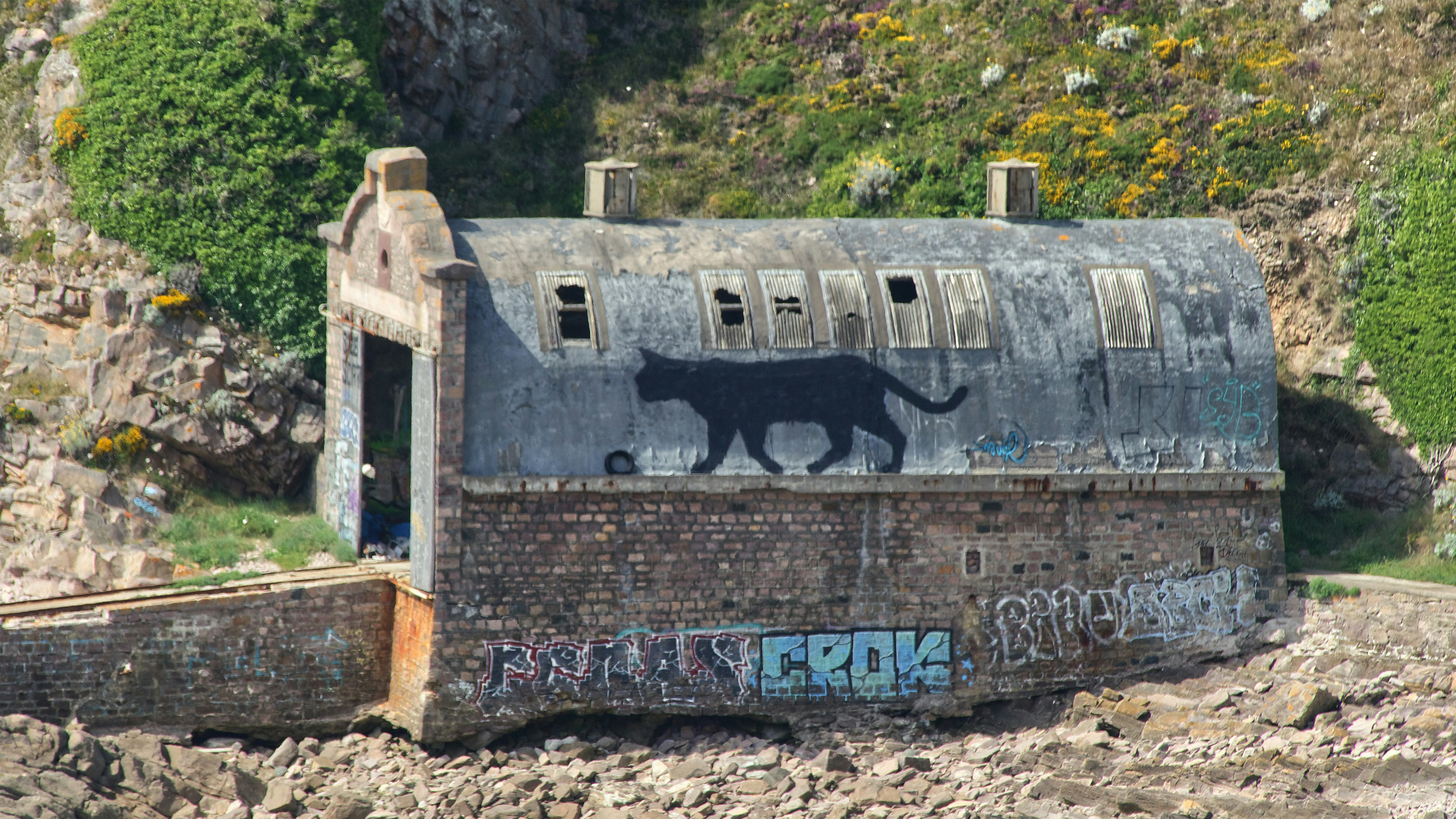 Shadow Cat on a Sea-Worn Bunker: Graffiti at the Edge