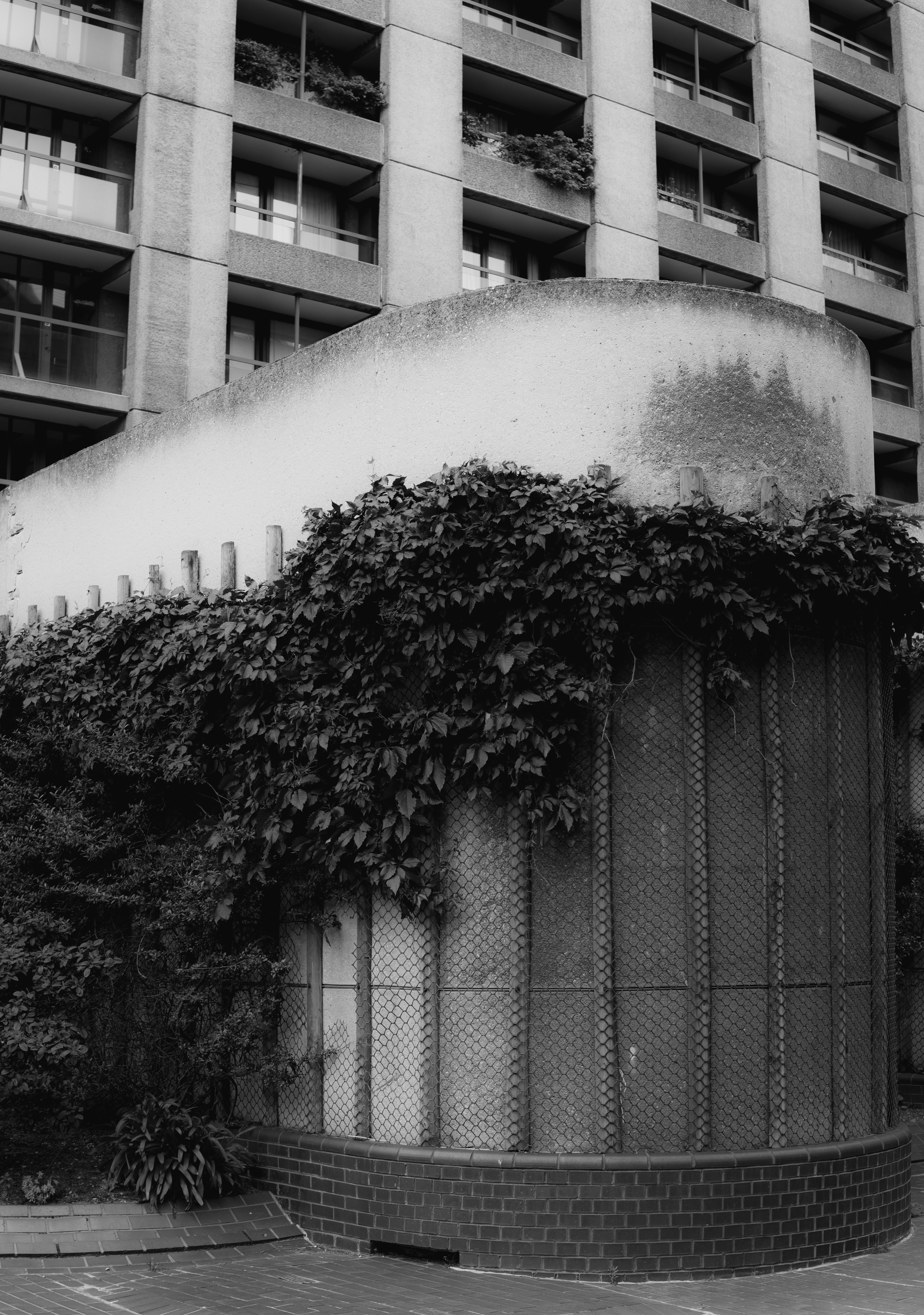 Photo by Chris Johnson with Sony Alpha 6000