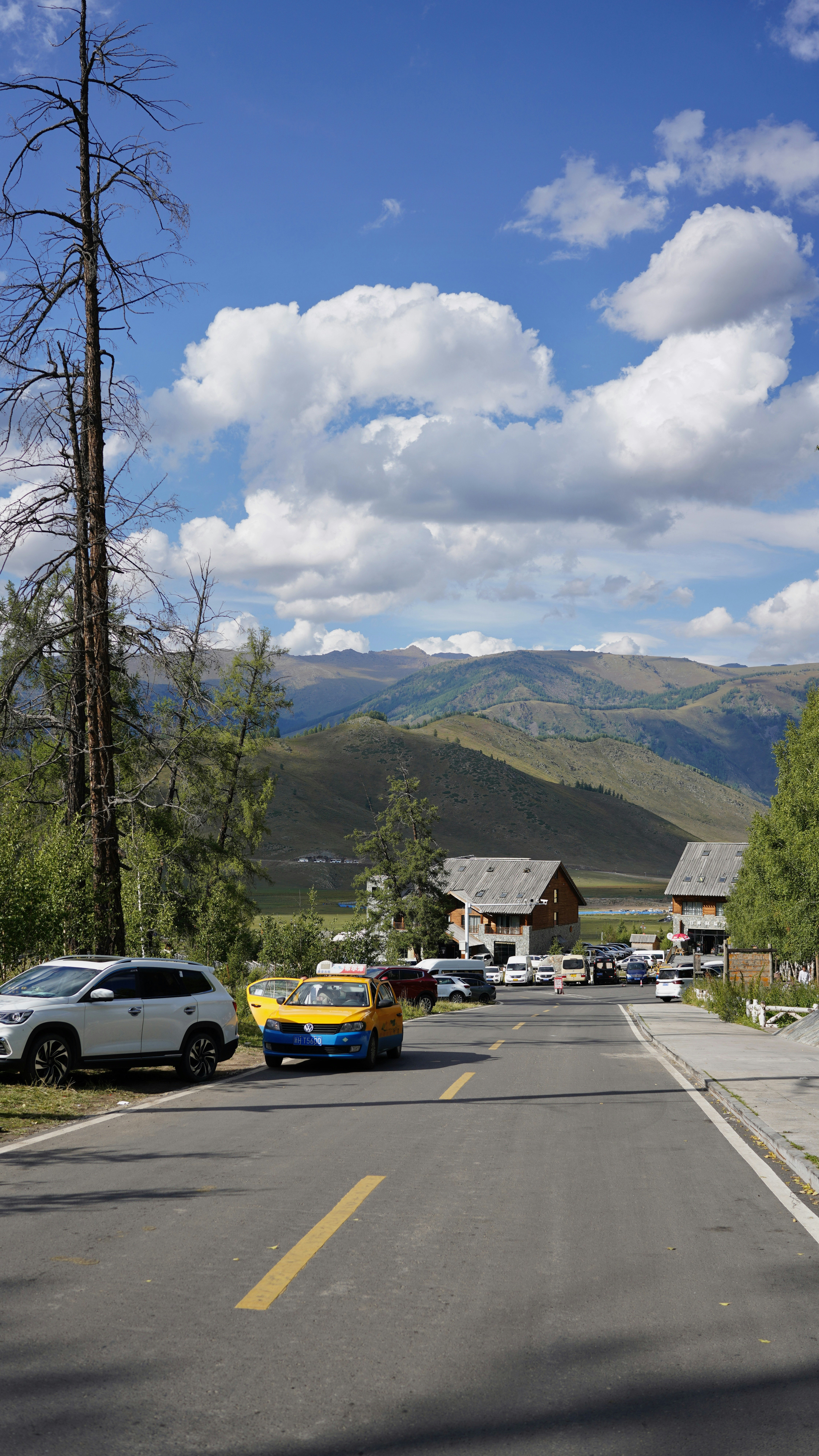 a street with cars and houses on the side