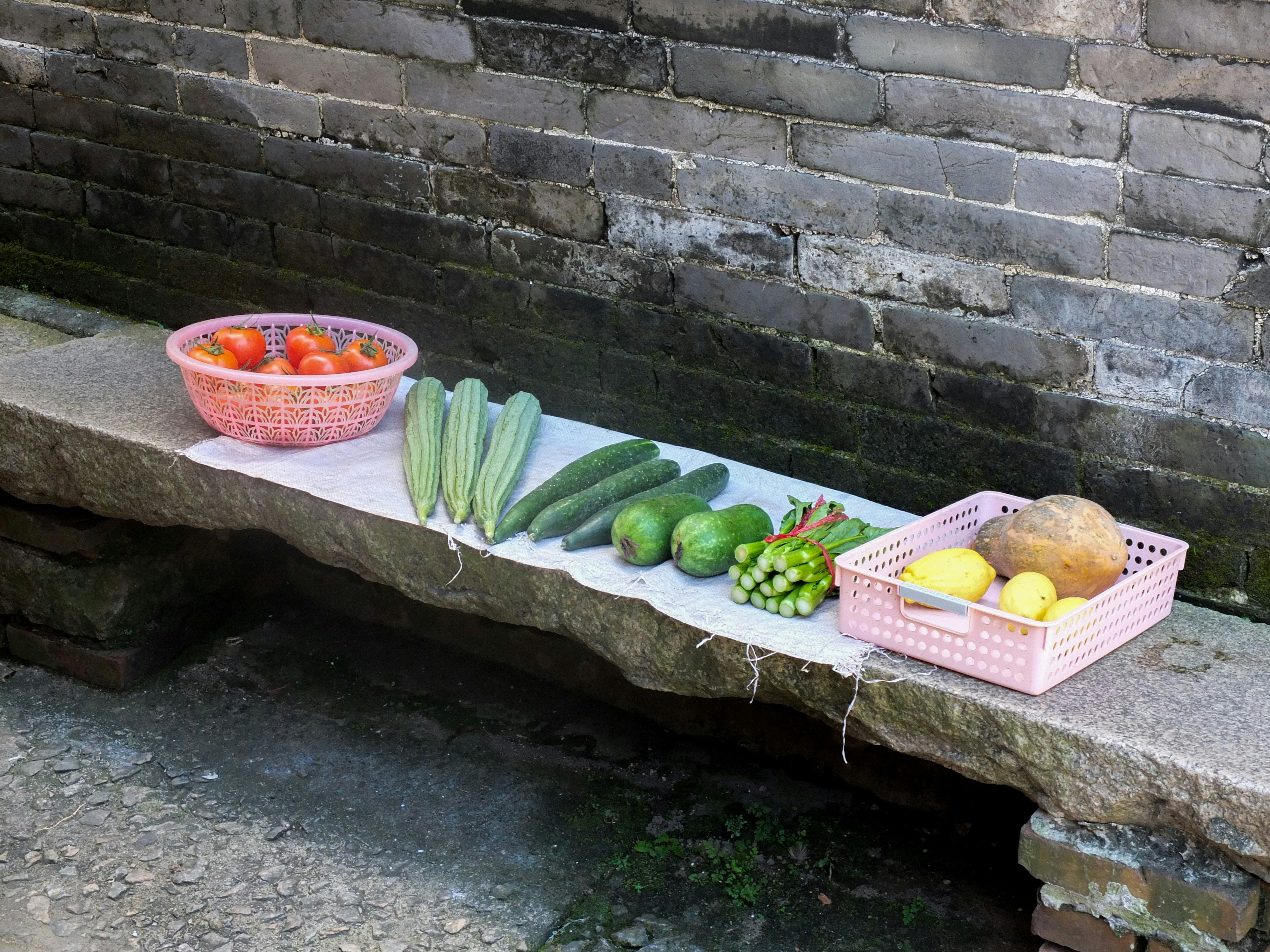 Produce Parade Along a Weathered Brick Ledge