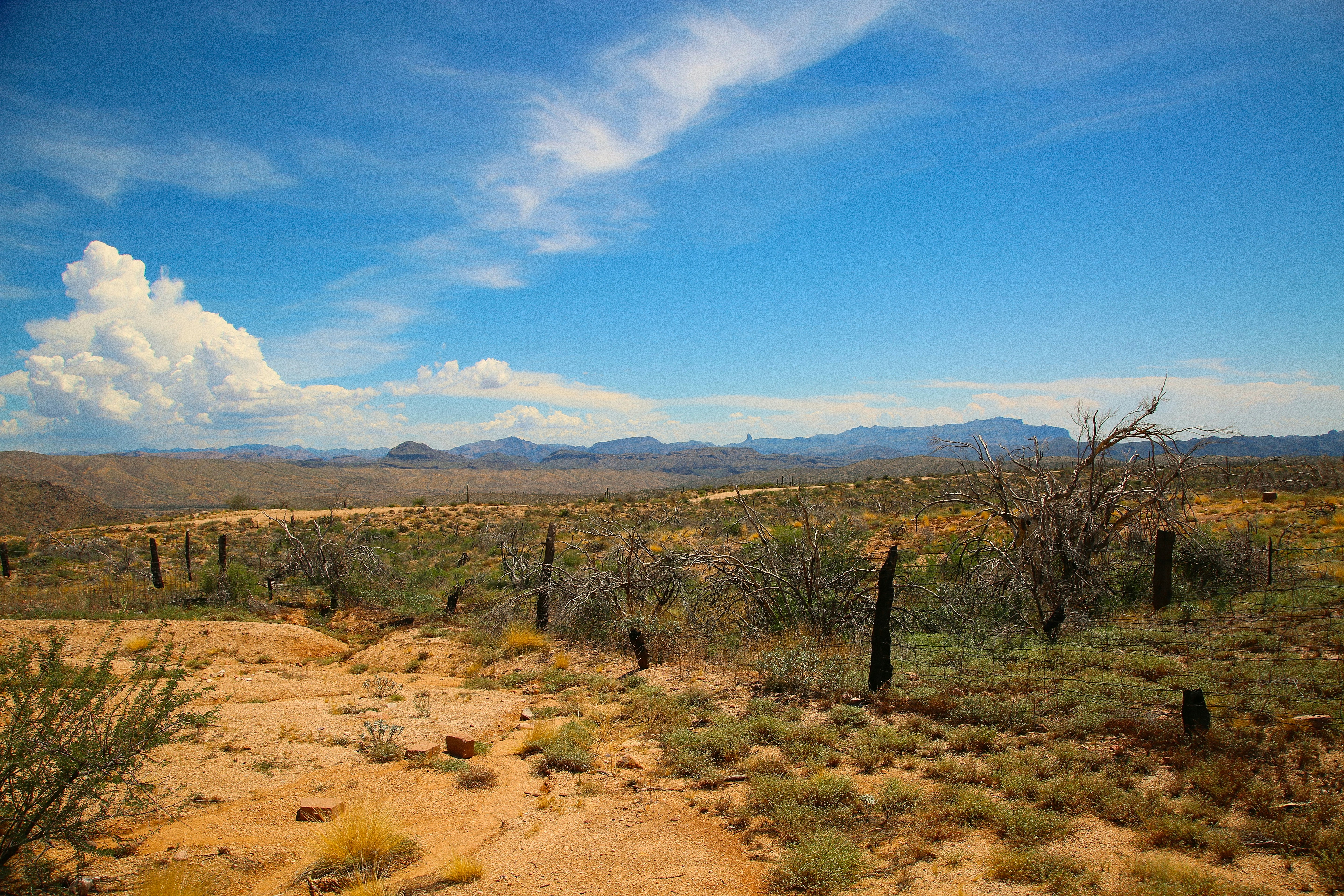 A desert landscape with trees and bushes photo – Free Arizona Image on ...