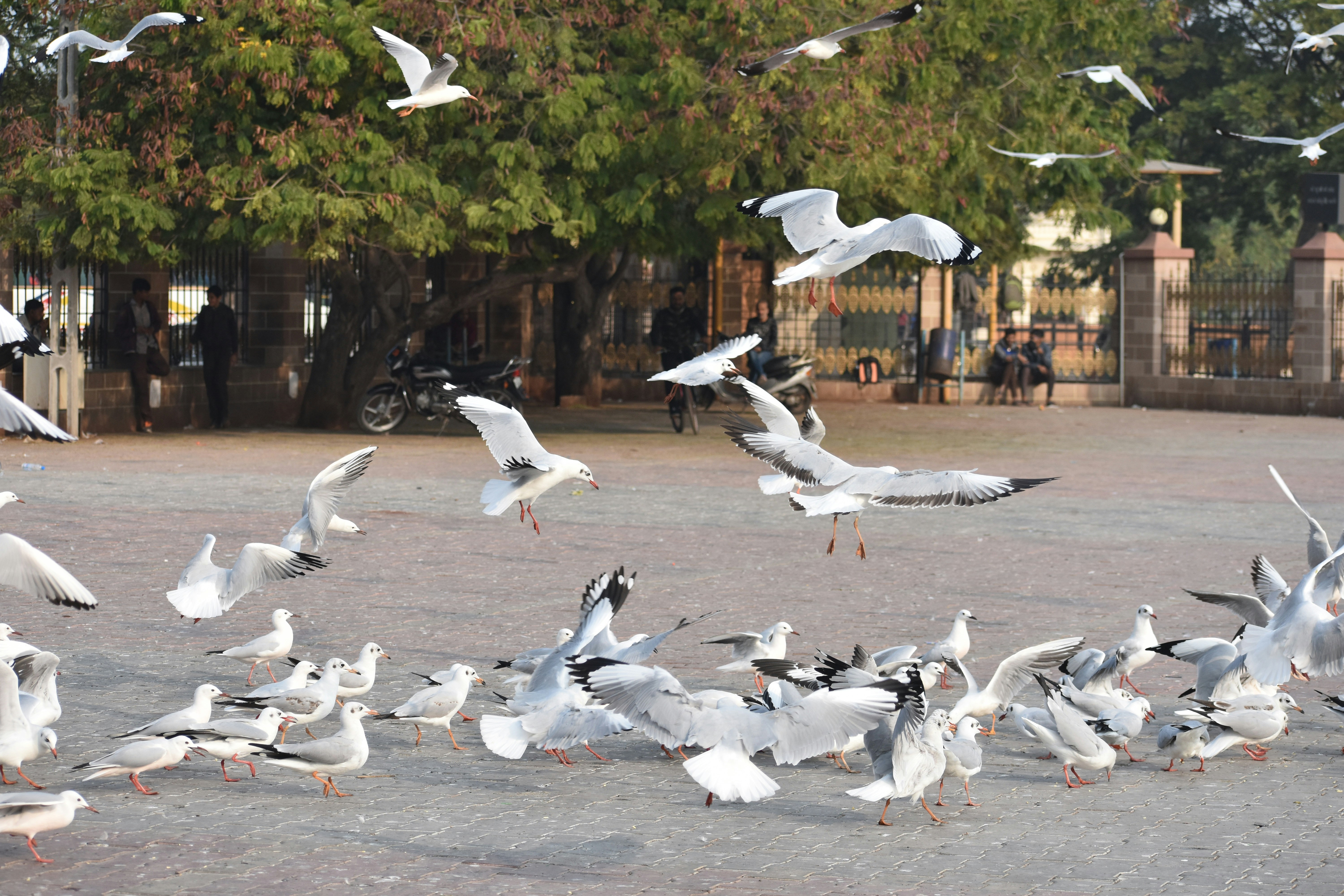 Photo by komal G with Nikon D3400