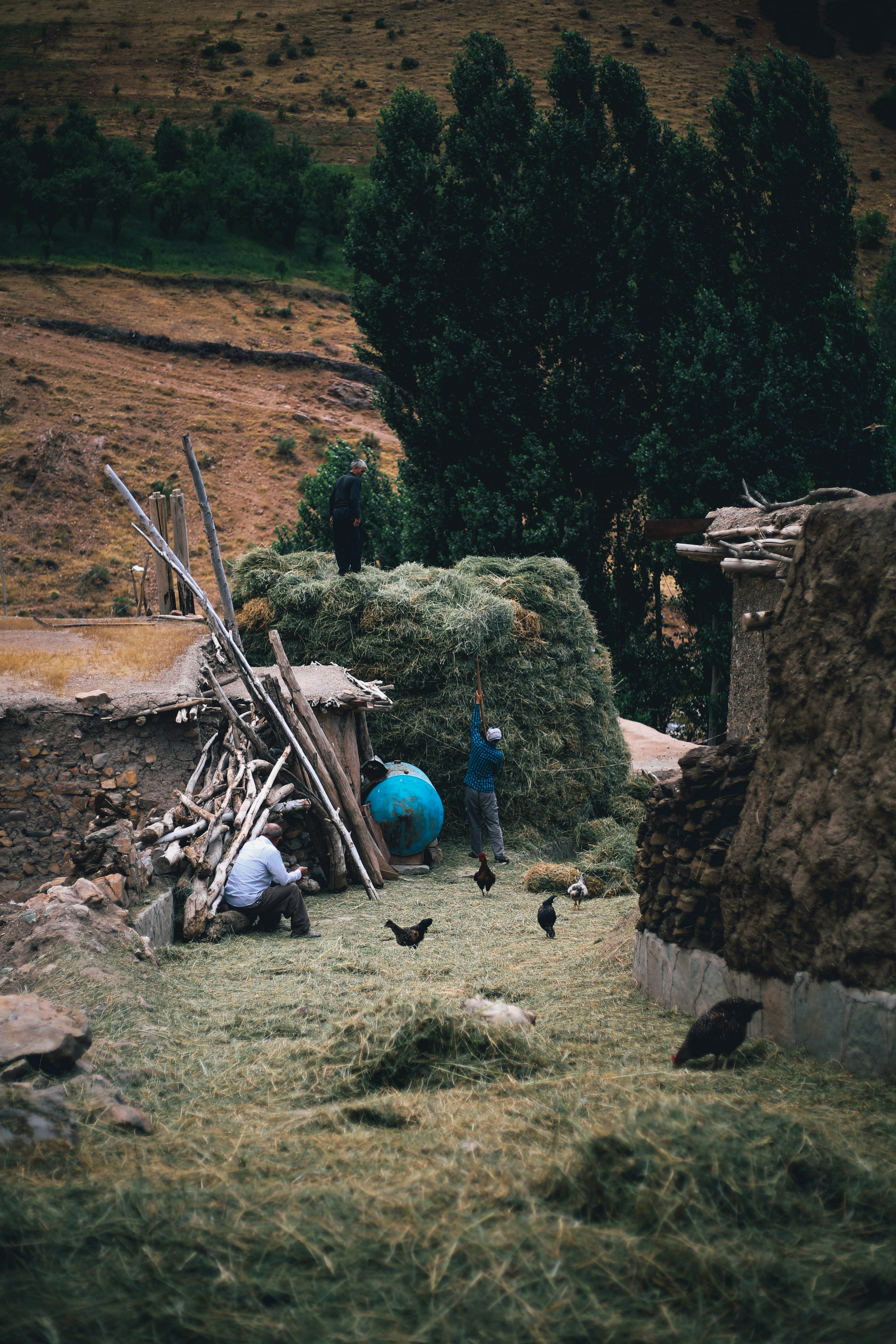A group of people outside photo – Free Miandoab Image on Unsplash