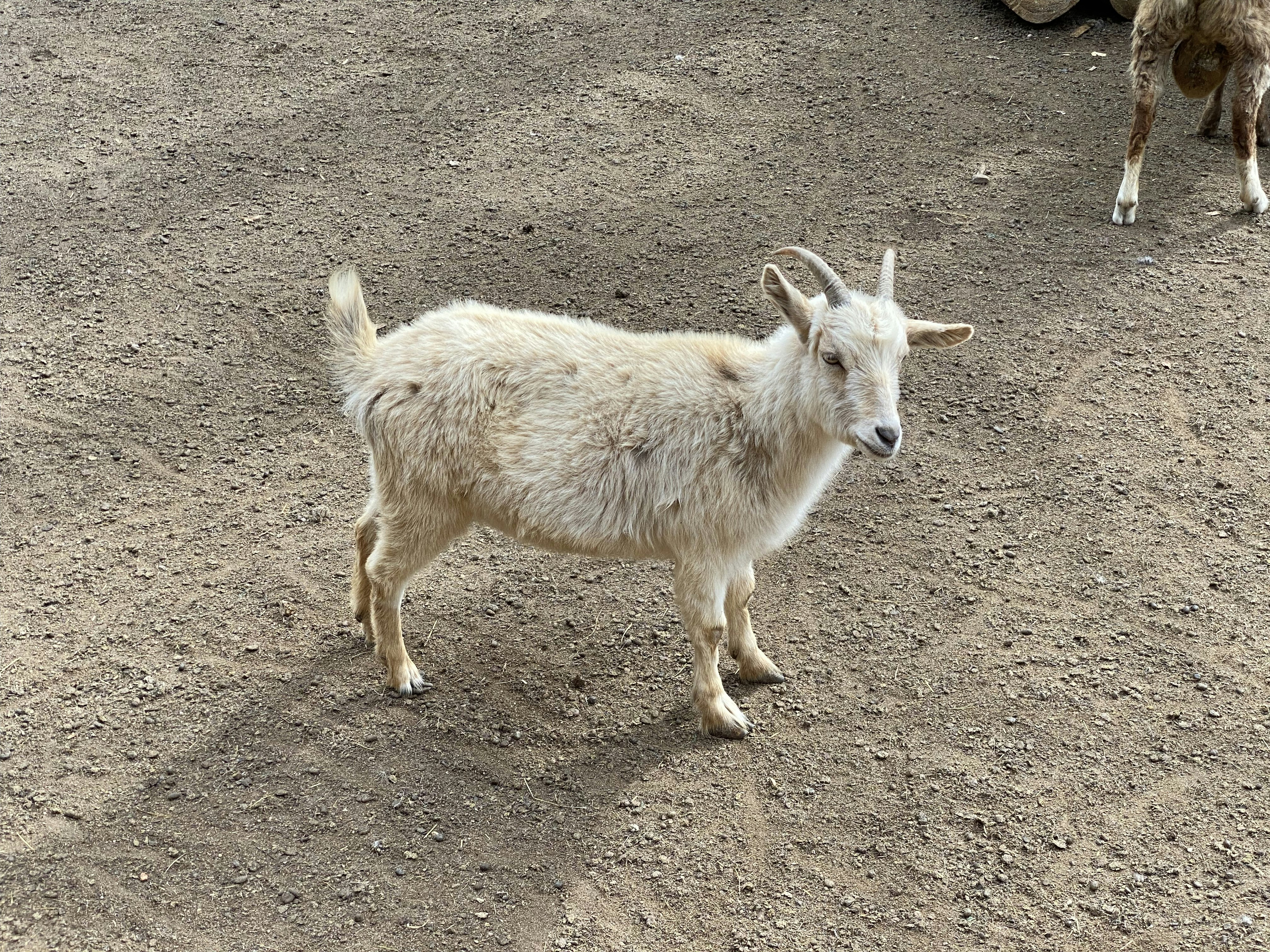 Photo by Mike G with Apple iPhone 11 Pro Max