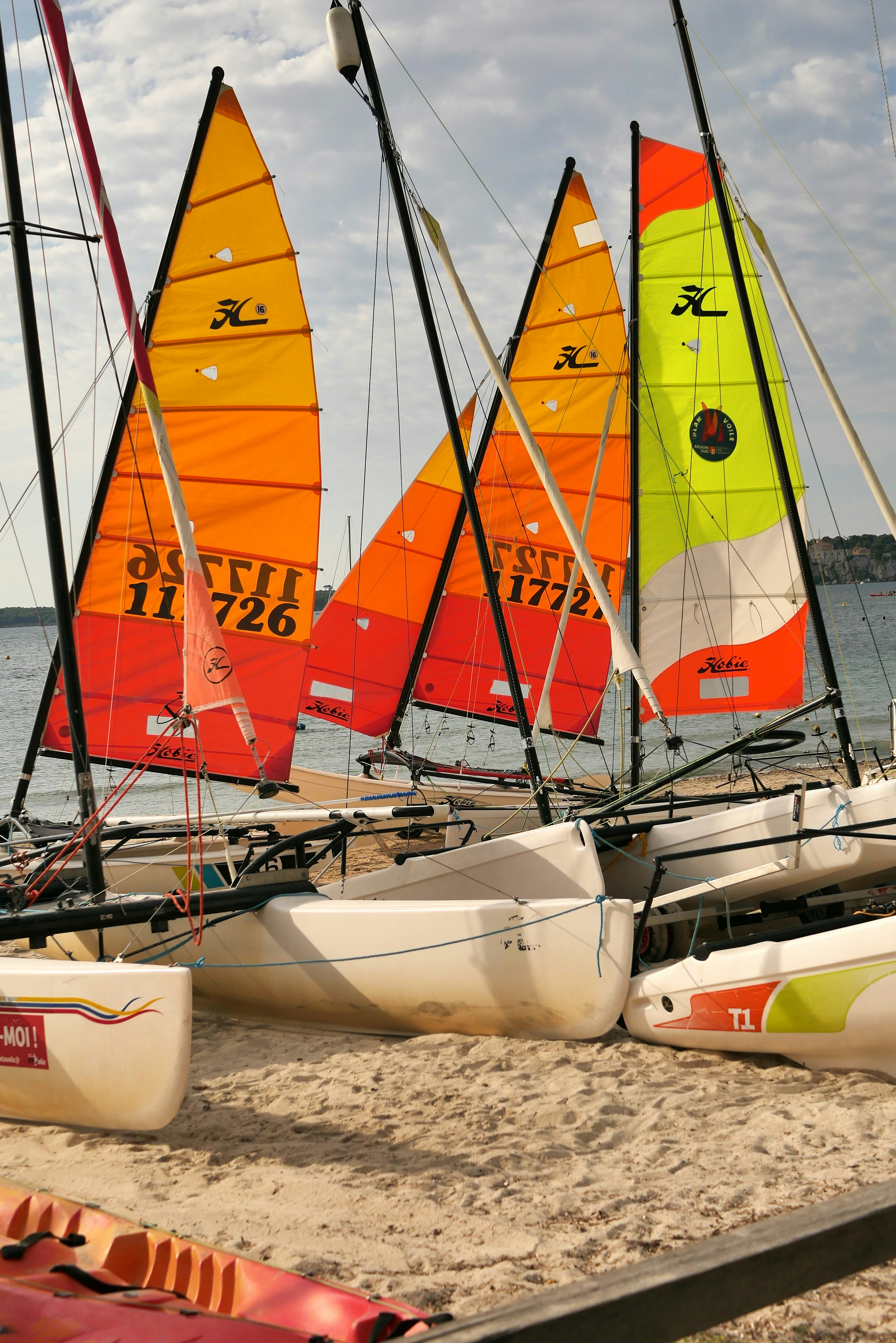 Neon Sails on a Quiet Shore: A Row of Dinghies Resting on Sand