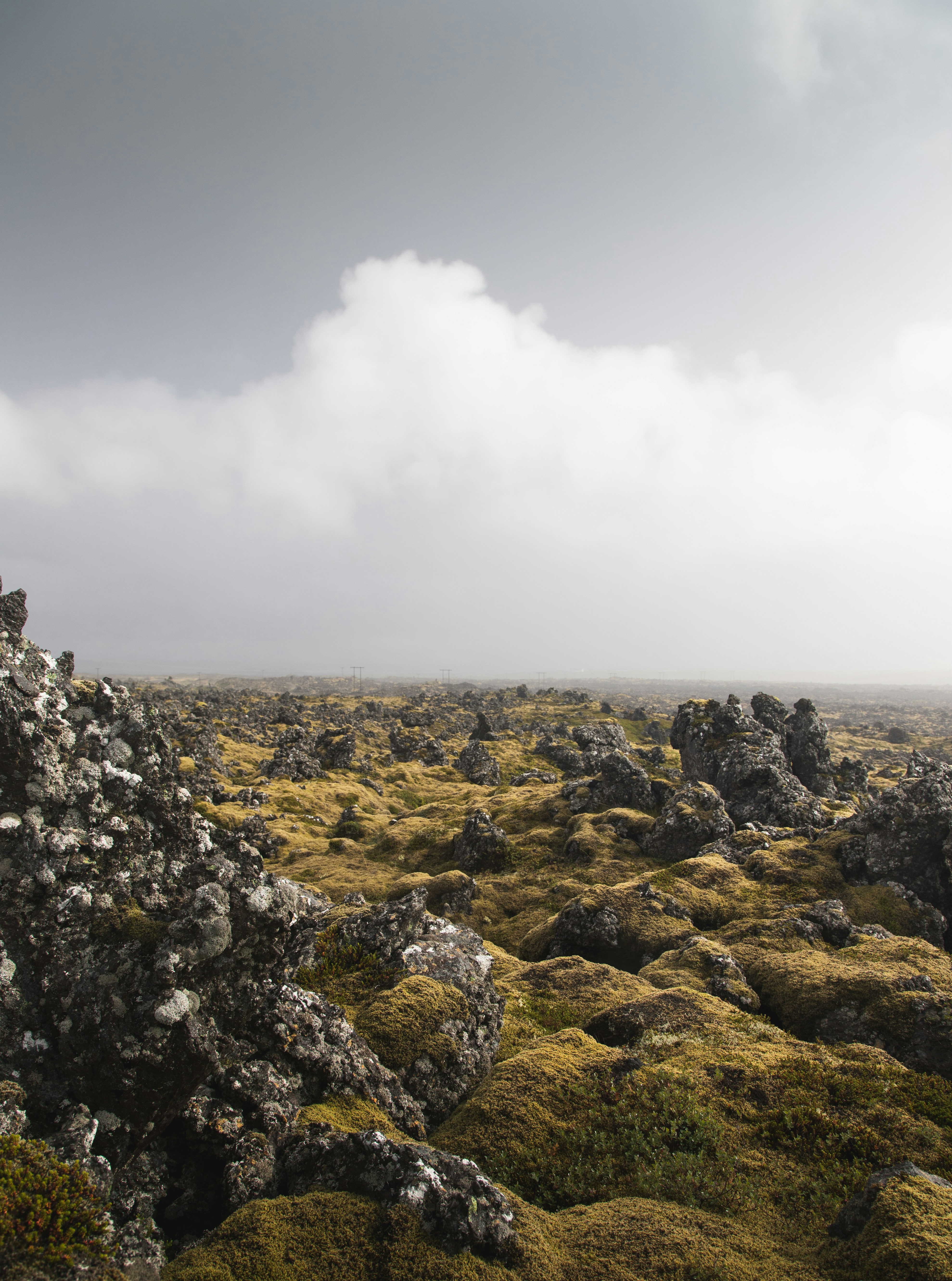 Photo by John Thomas with Canon EOS 6D Mark II