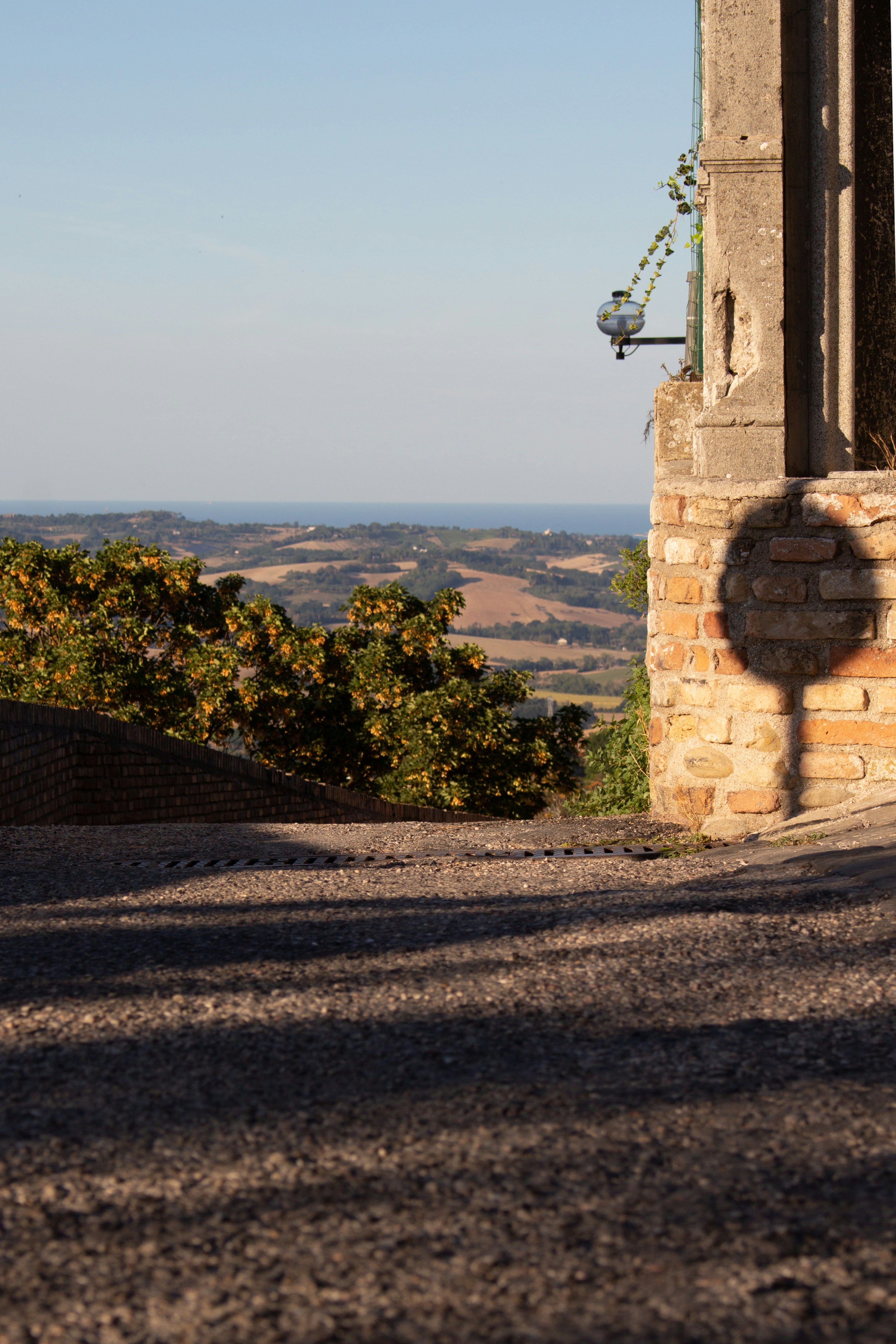 Sunlit Corner: Ivy, Brickwork, and a Distant Horizon