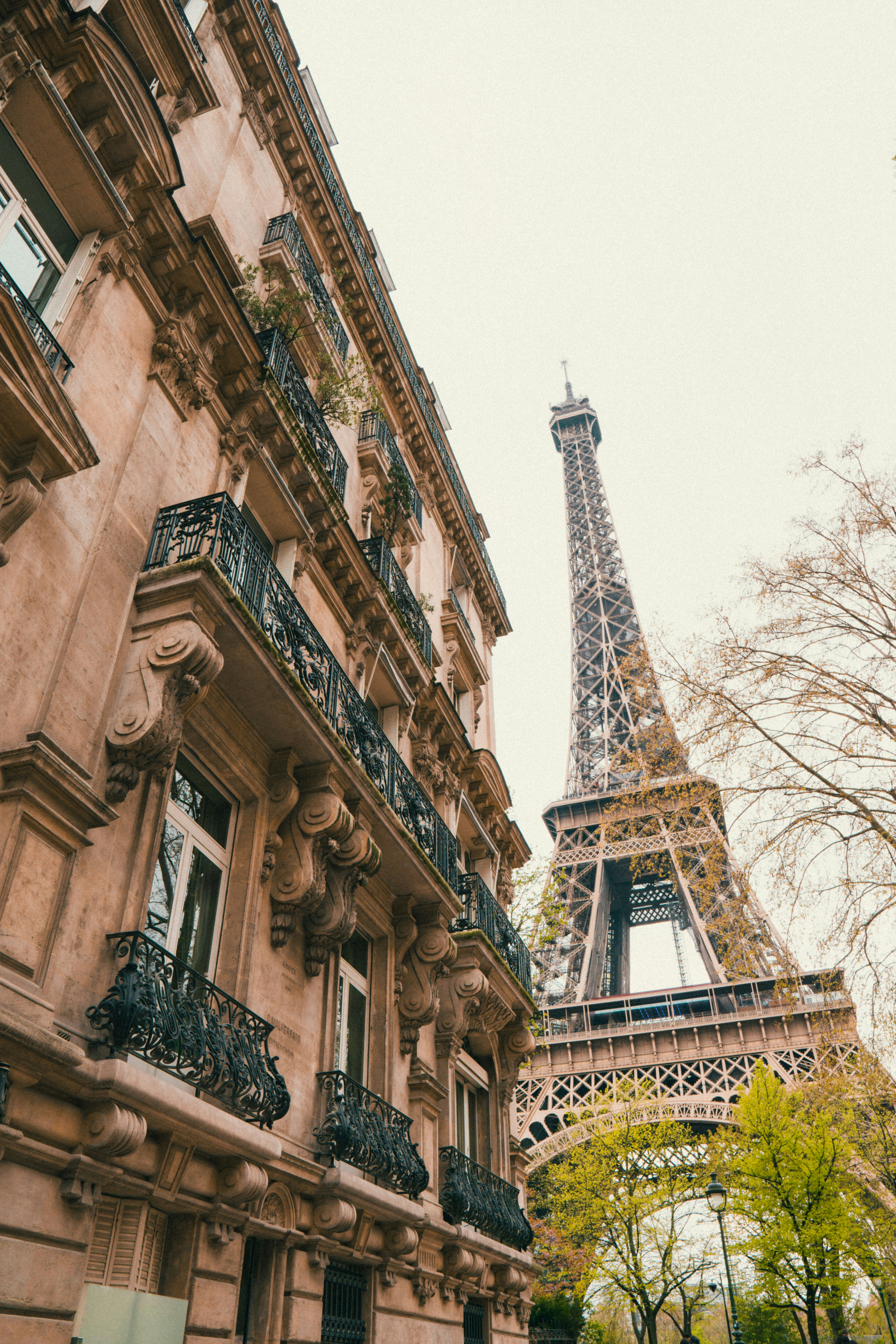 Photo by Chris Johnson with Sony Alpha 6000