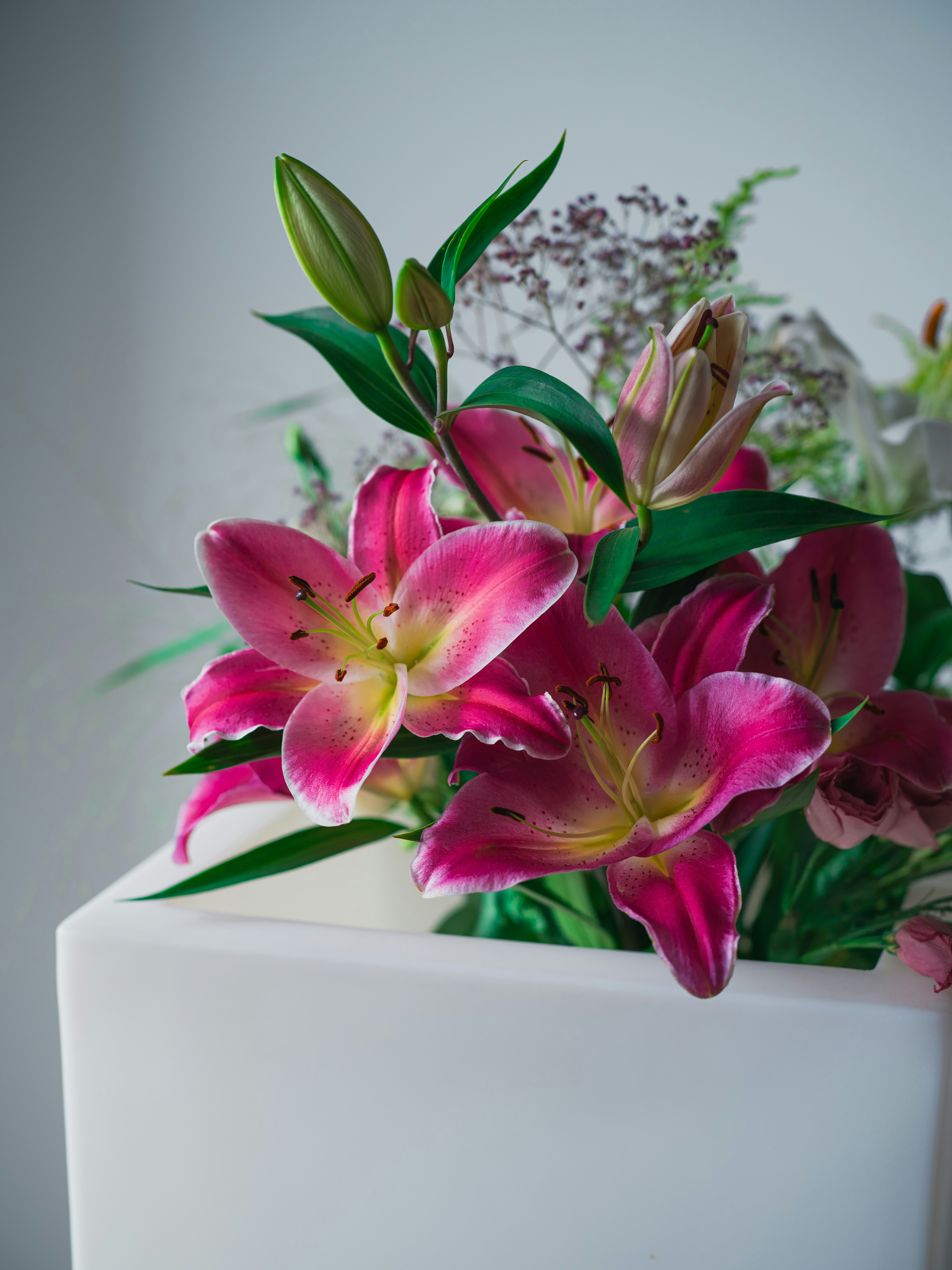 Petal Symphony in White: Pink Stargazer Lilies in a Minimalist Vessel