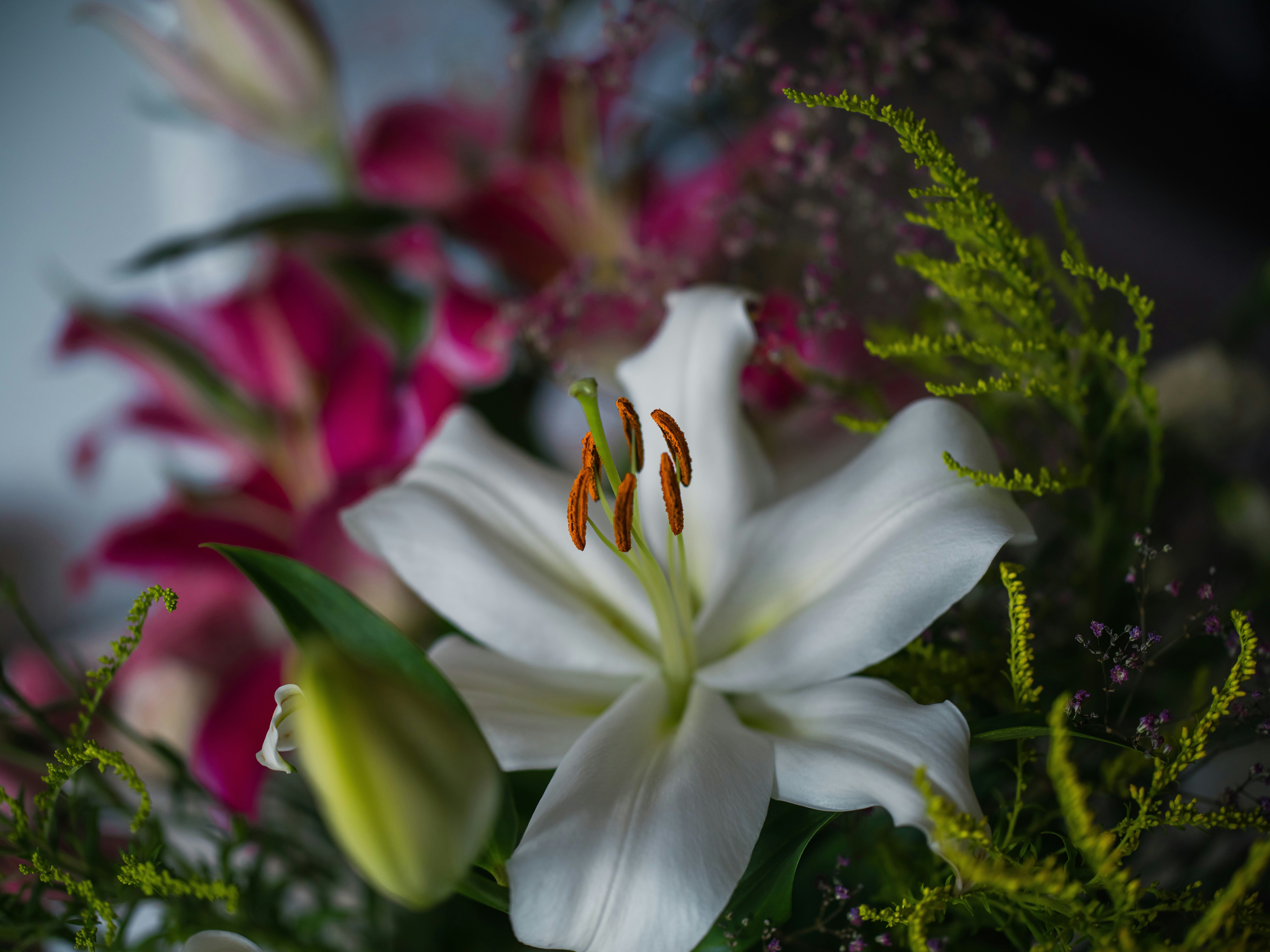Lily Bouquet Pictures | Download Free Images on Unsplash