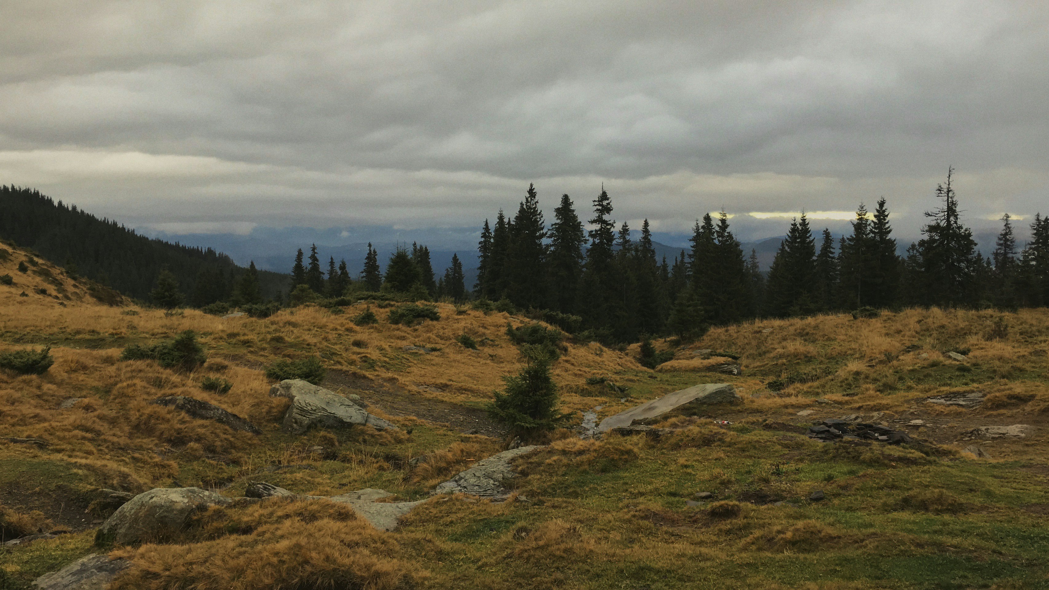 Rugged Alpine Meadow Under a Slate-Gray Sky
