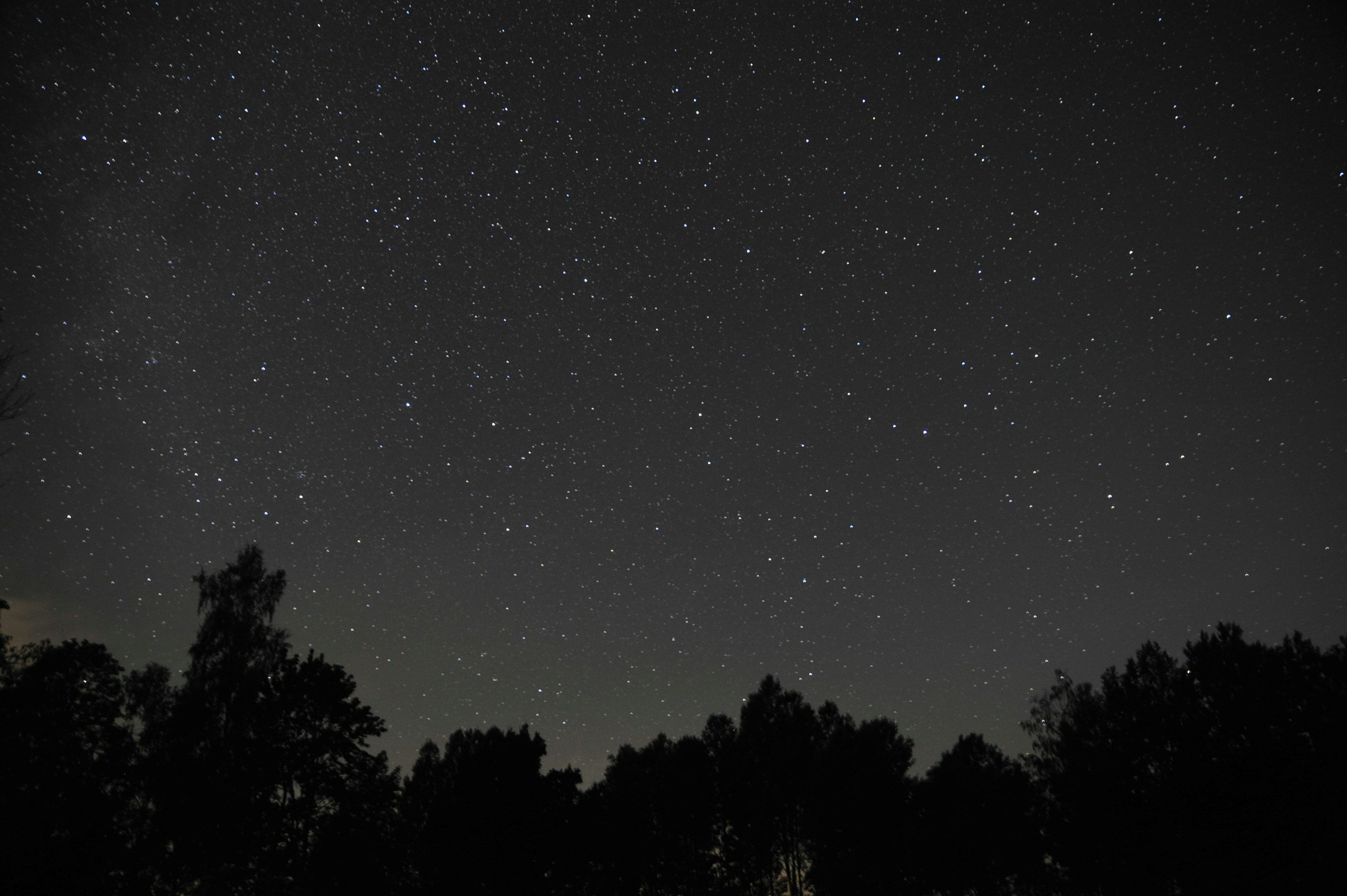 A starry night sky over trees photo – Free Space Image on Unsplash