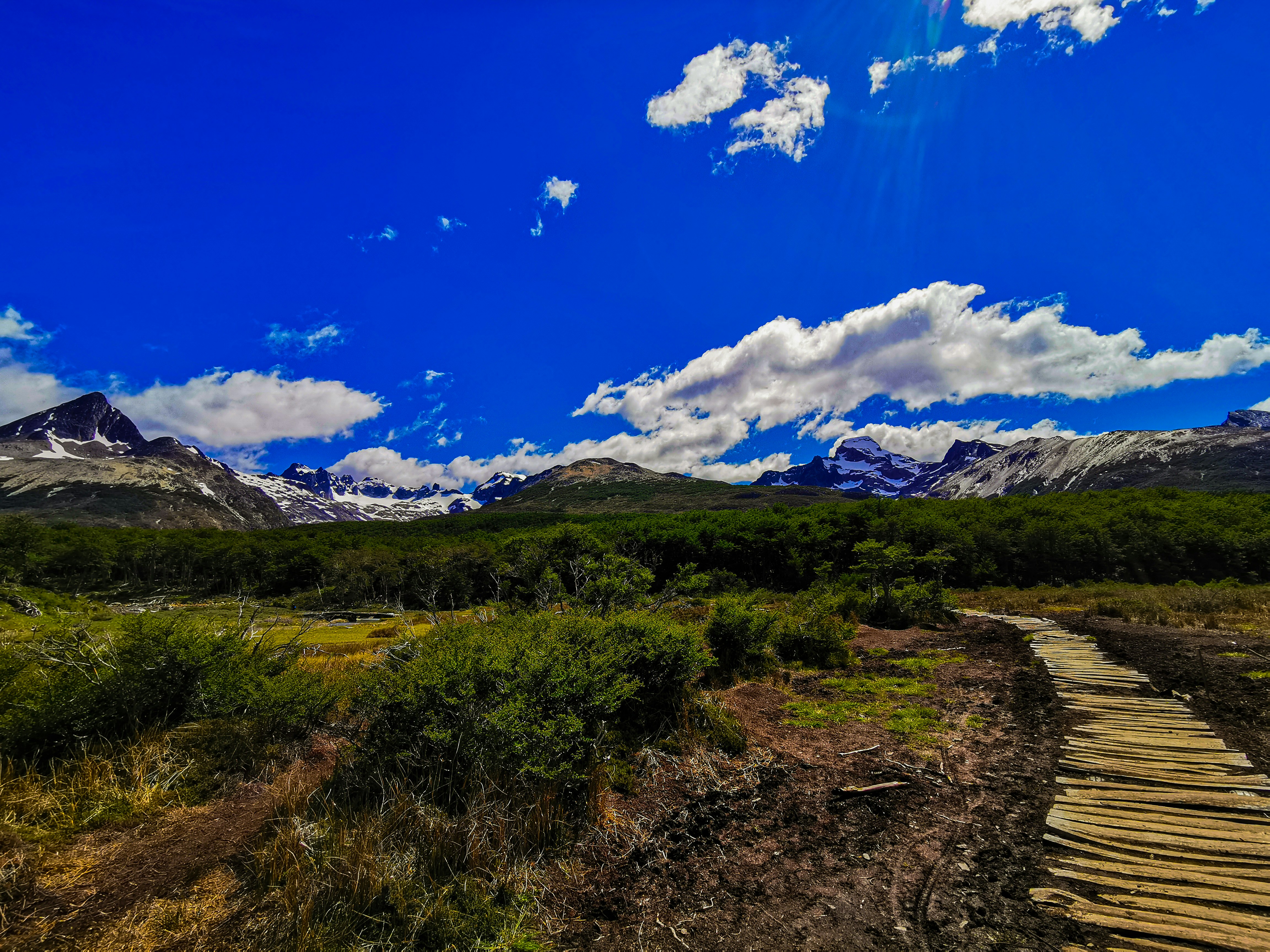 Wooden pathway leading through lush greenery towards majestic mountains under a vibrant blue sky with scattered clouds.
