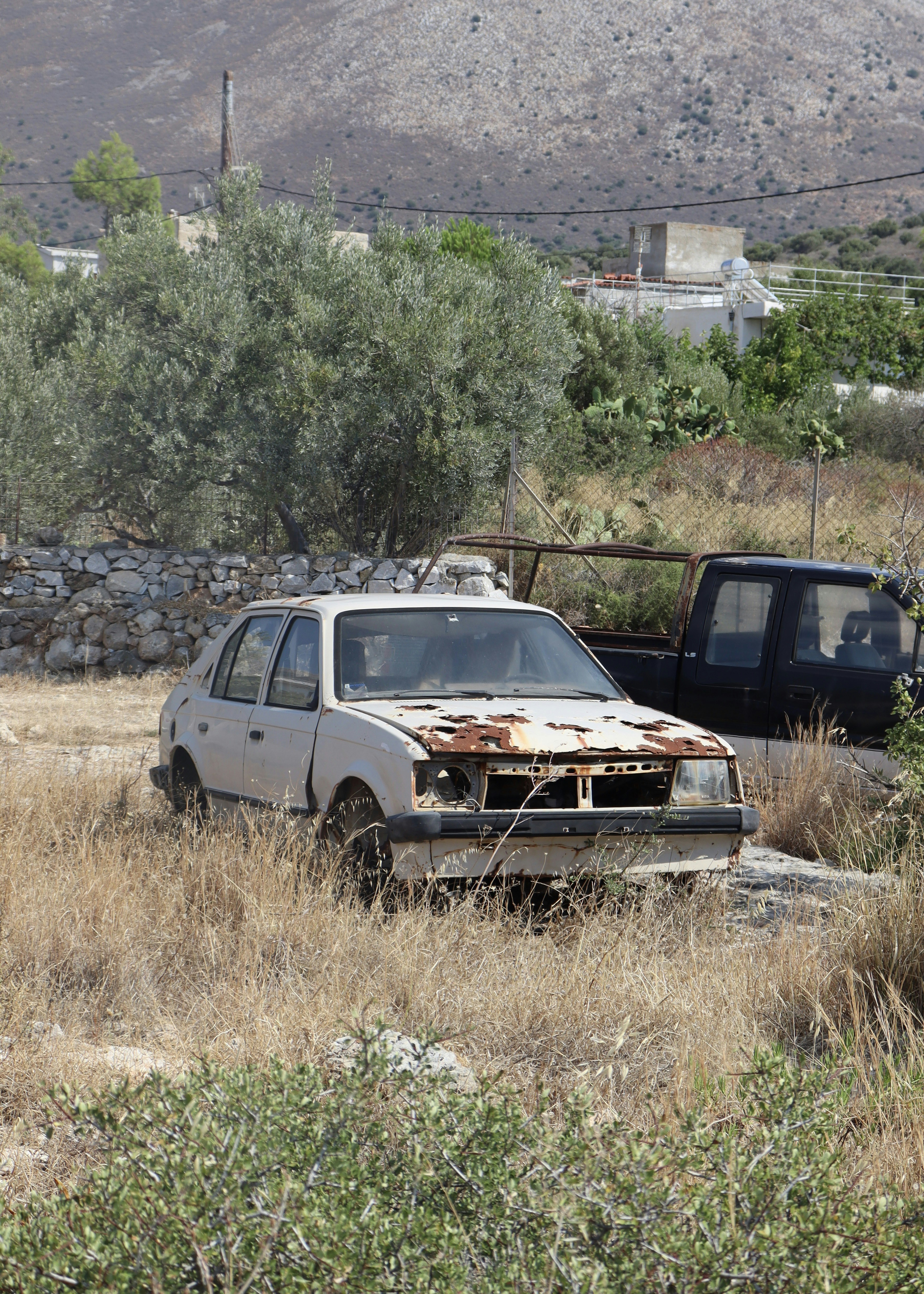 Deserted Rust: A Weathered Sedan Silent Among Dry Grass