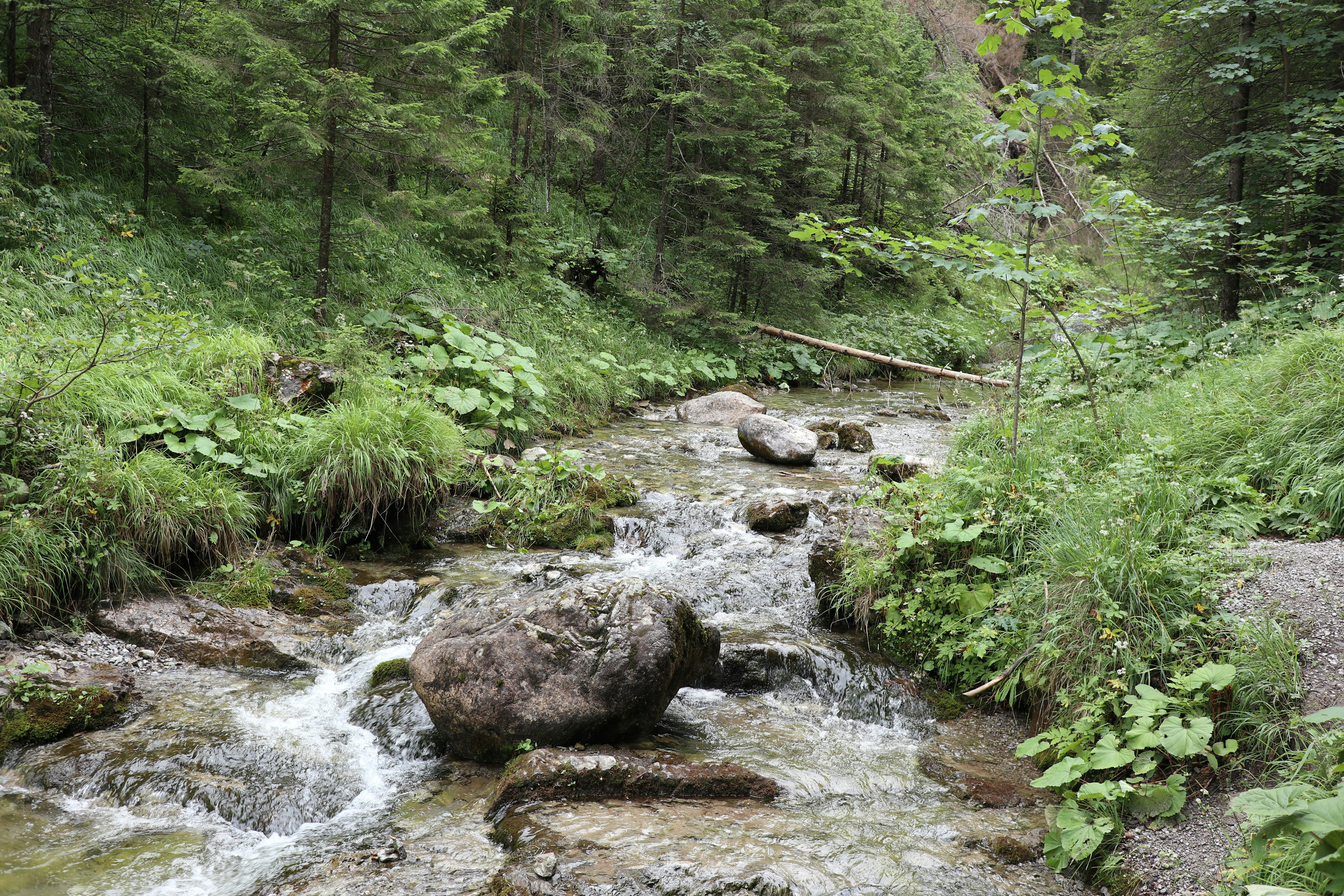 Photo by Yevheniia with Canon EOS M100