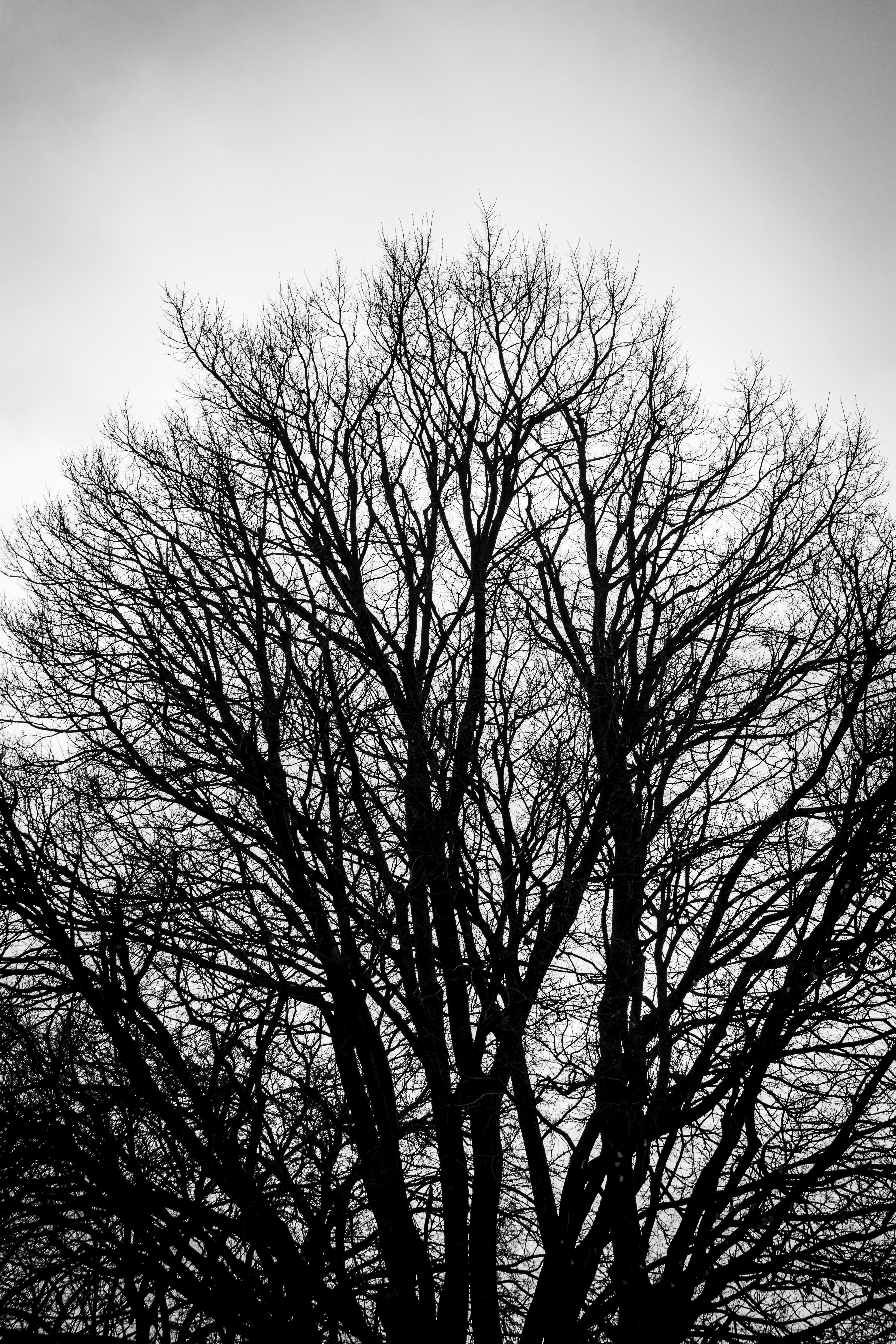 Tristan Luong (@tristanluong) | Unsplash Photo Community