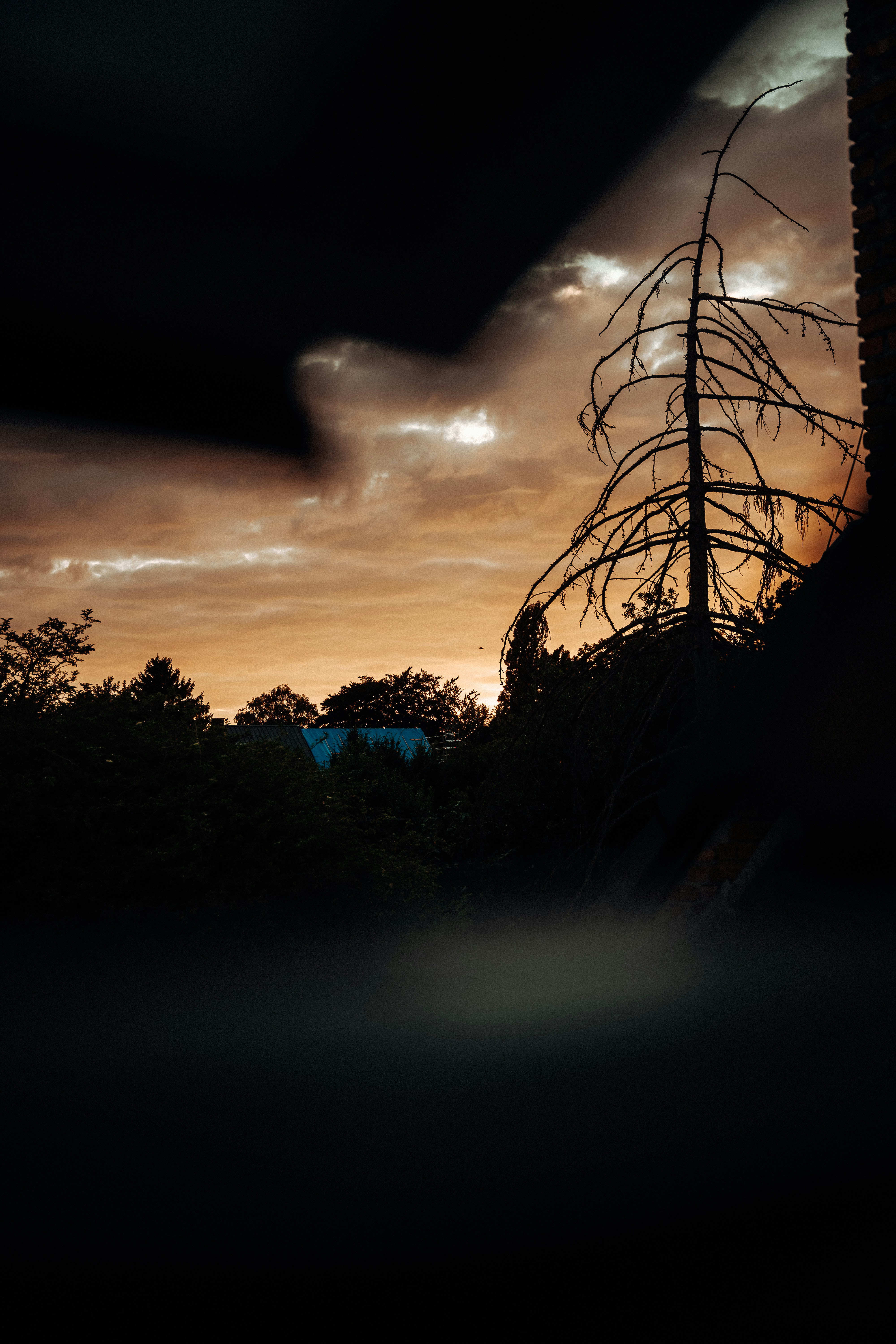 A sunset over a forest photo – Free Hove Image on Unsplash